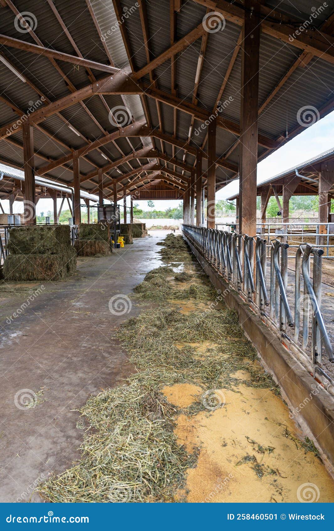 Vertical Shot of an Empty Farm with Boxes for Cows Stock Image - Image ...