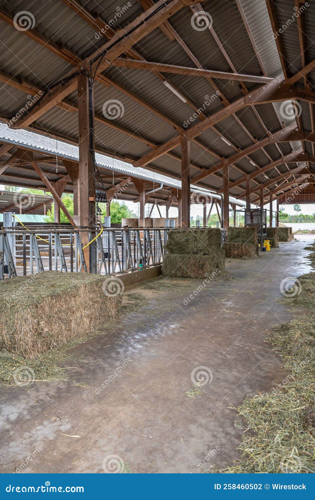 Vertical Shot of an Empty Farm with Boxes for Cows Stock Photo - Image ...