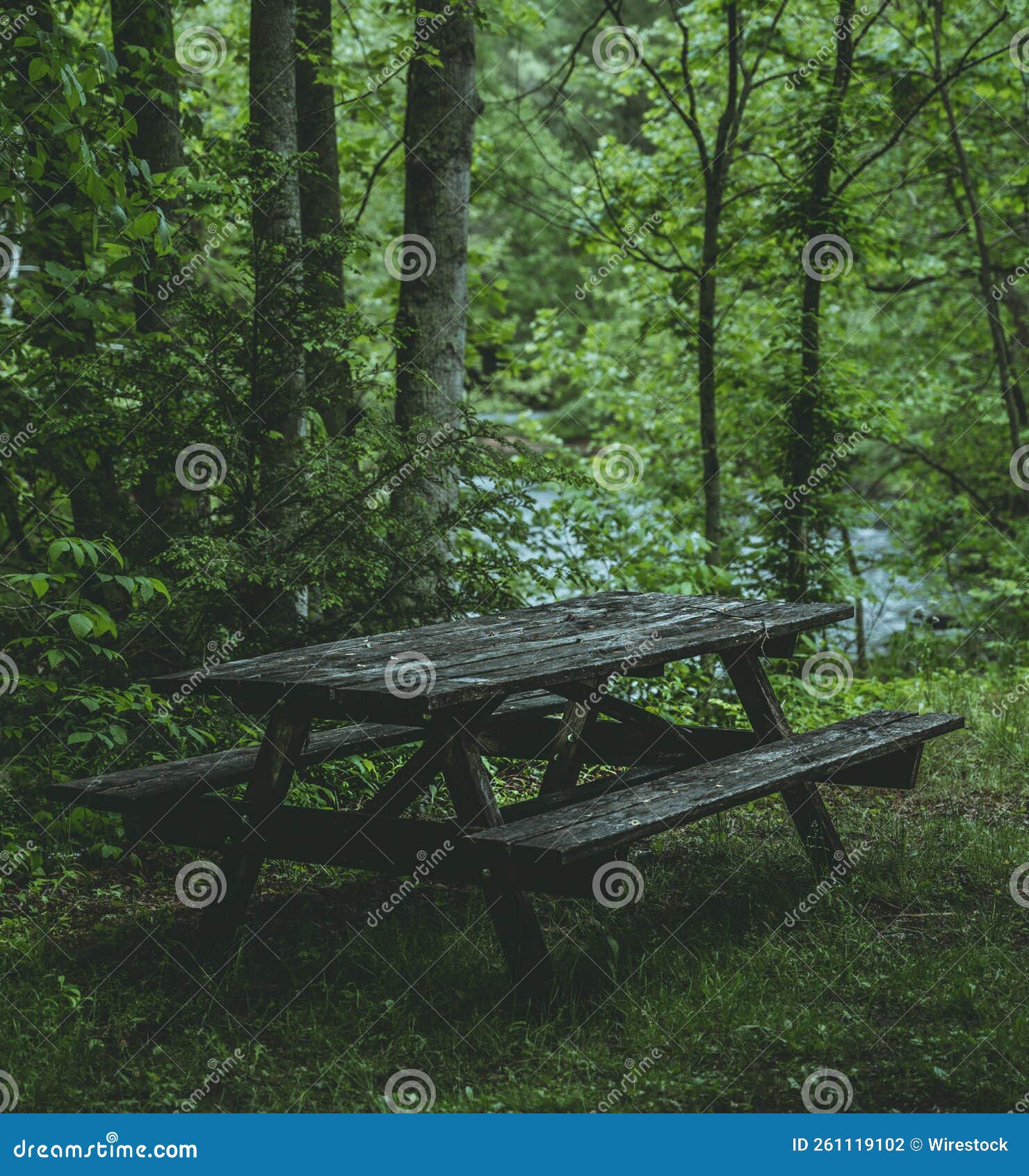 Vertical Shot of the Empty Picnic Table Surrounded by Green Vegetation ...