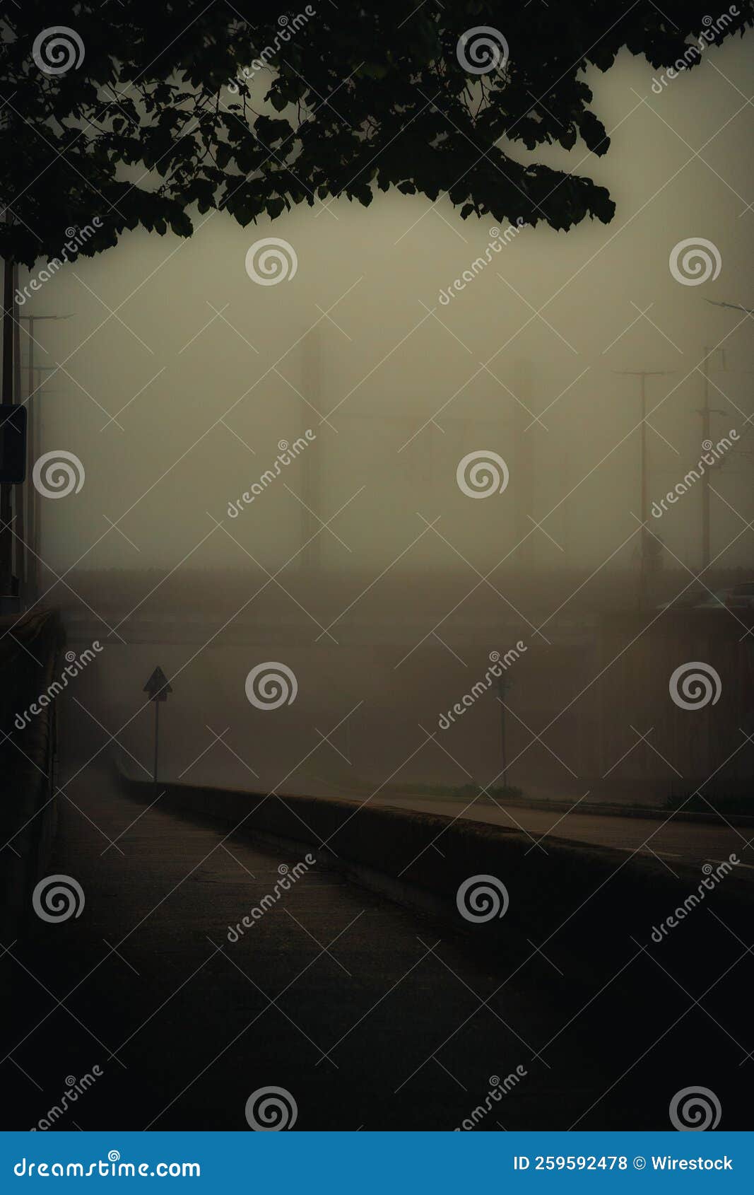 Vertical Shot of an Empty Road and Bridge Hidden in a Mist Stock Photo ...