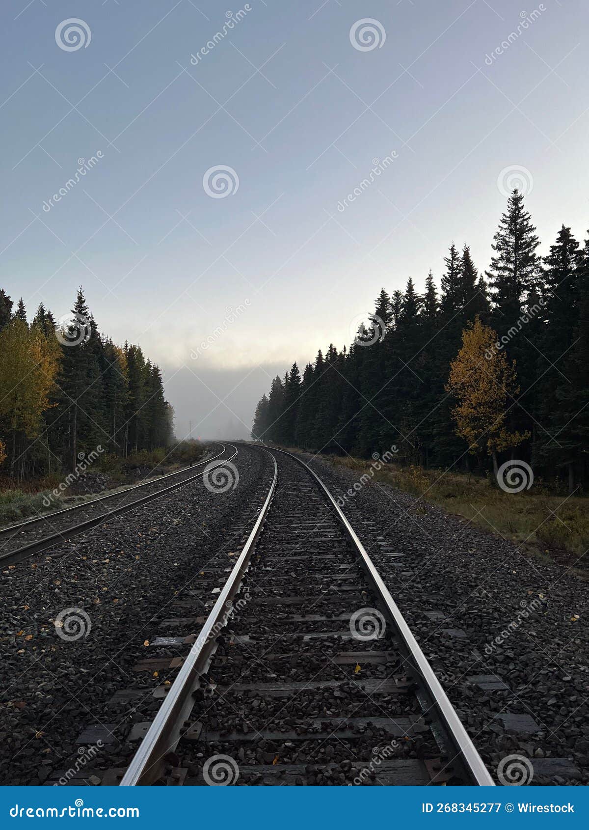 Vertical Shot of the Empty Train Tracks Alongside the Forest in Banff ...