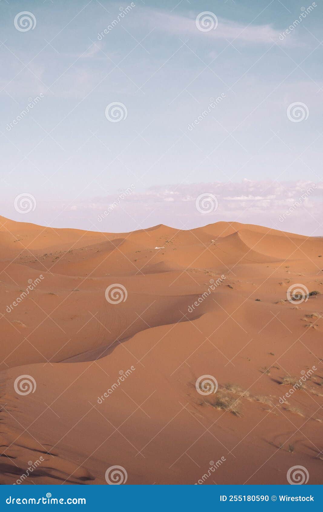 Vertical Shot of the Erg Chebli Desert in Morocco Stock Photo - Image ...