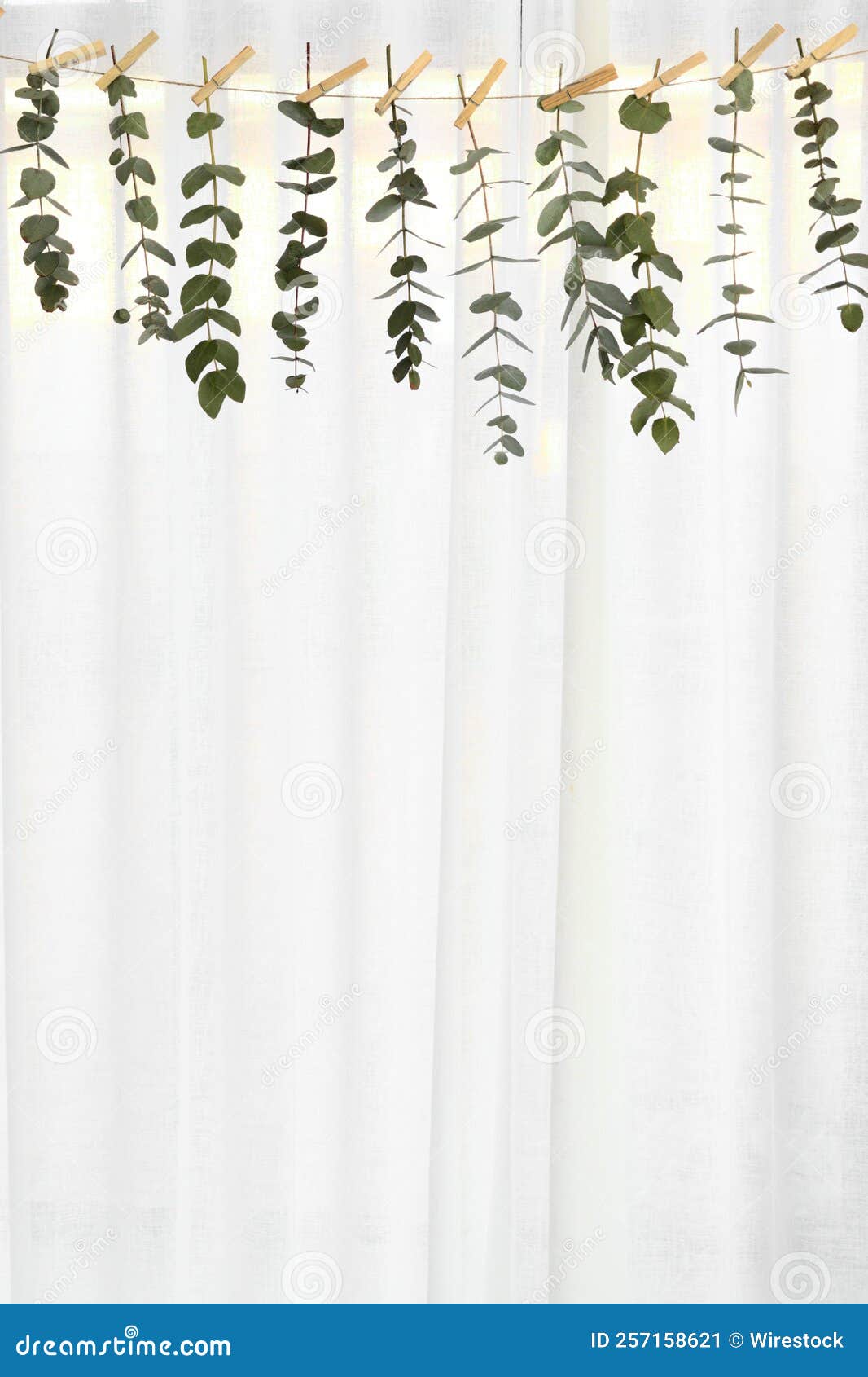 Vertical Shot of Eucalyptus String Leaves in Front of White Draping ...