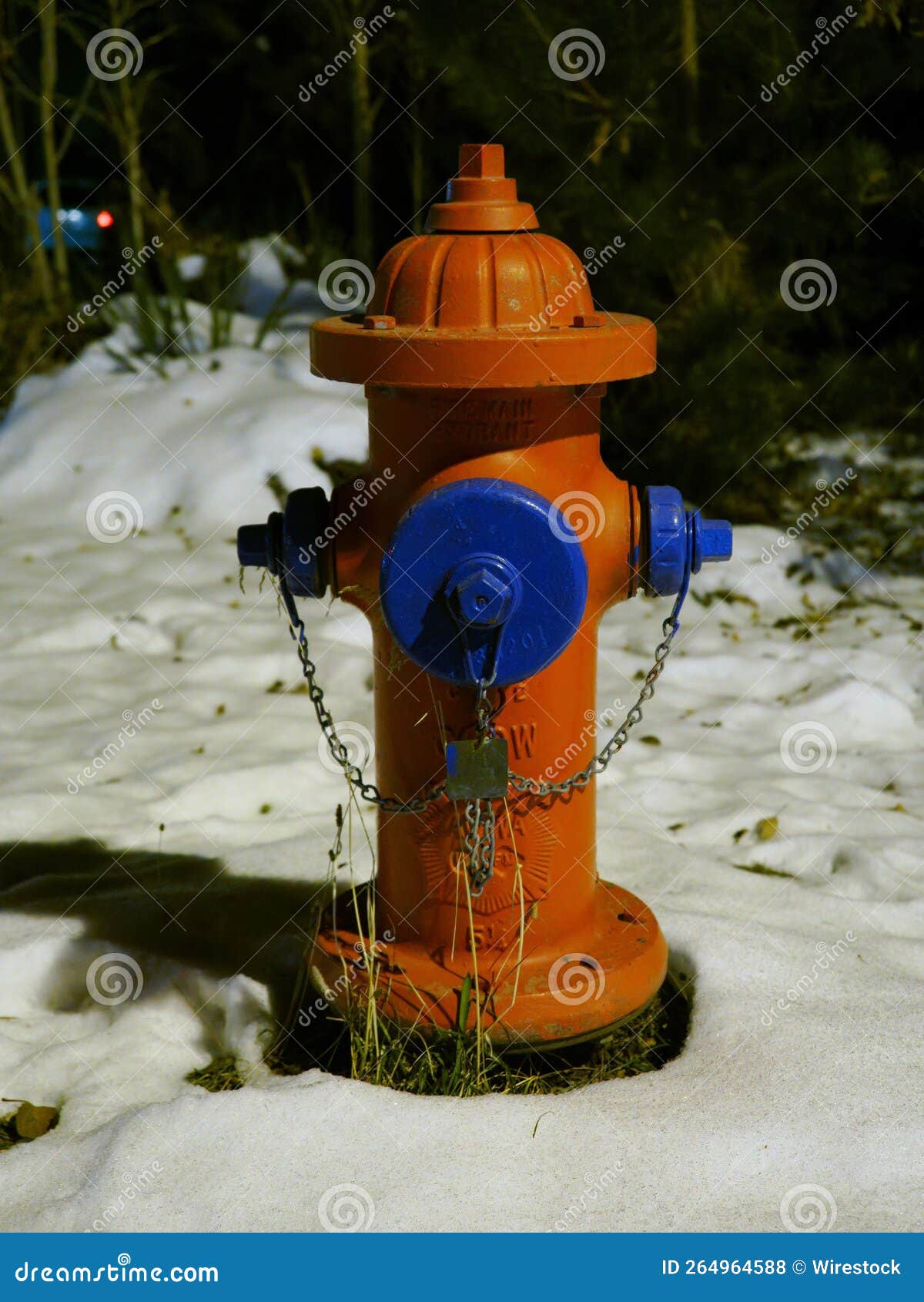 Vertical Shot of a Fire Hydrant in the Beautiful Forest Stock Photo ...