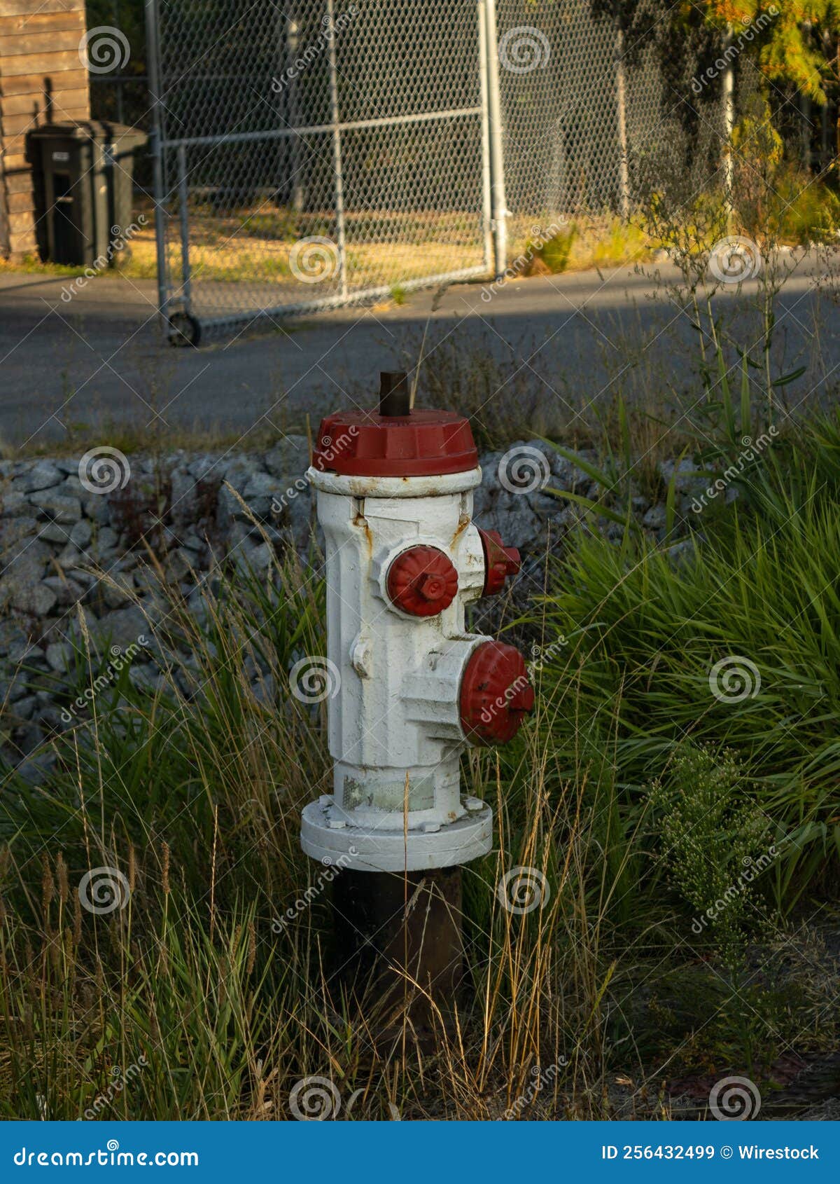 Vertical Shot of a Fire Hydrant in the Green Area Stock Image - Image ...