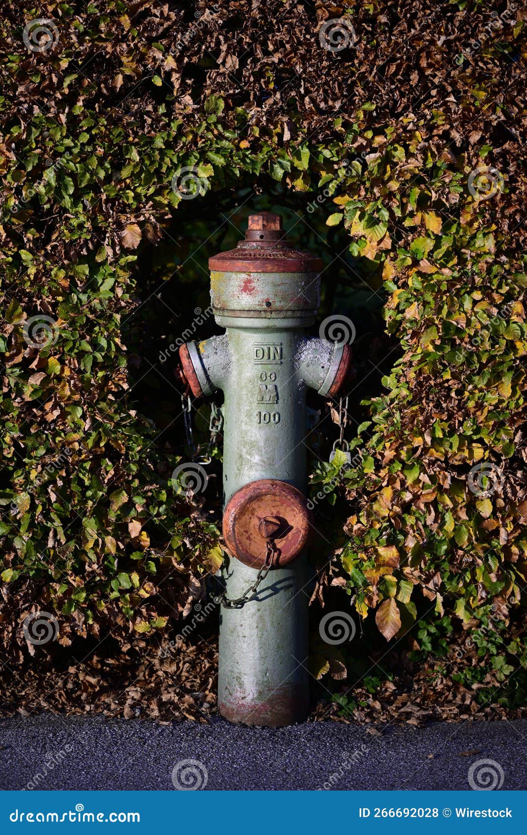 Vertical Shot of a Fire Hydrant in the Street Stock Photo - Image of ...