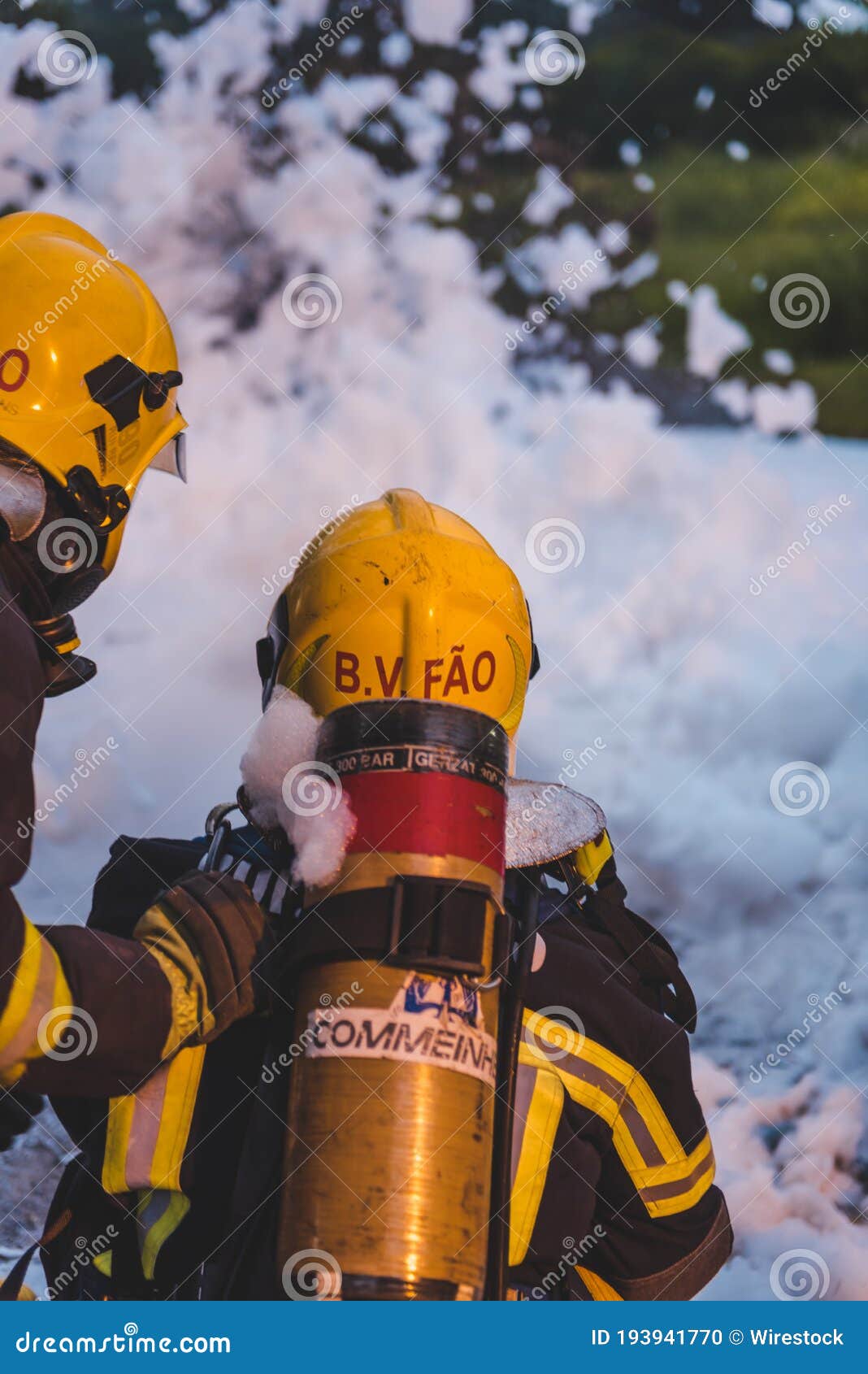 Vertical Shot of Firefighters with Oxygen Cylinder in the Forest Stock ...