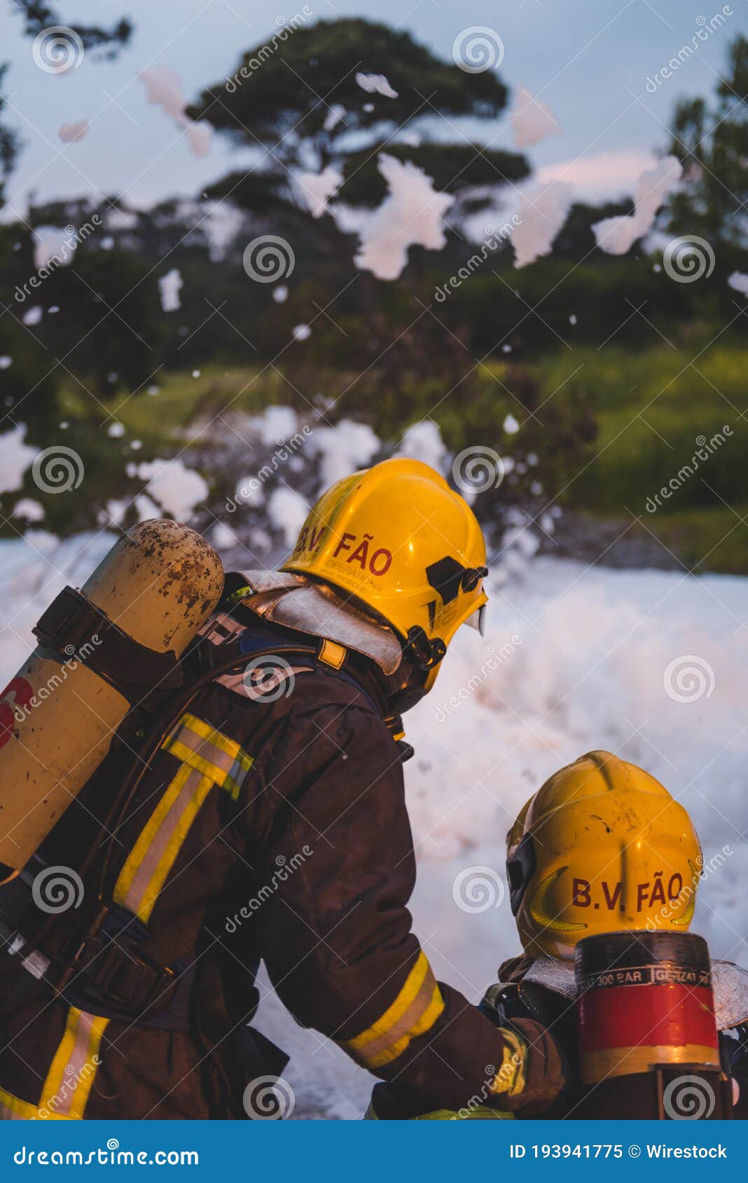 Vertical Shot of Firefighters with Oxygen Cylinder in the Forest Stock ...