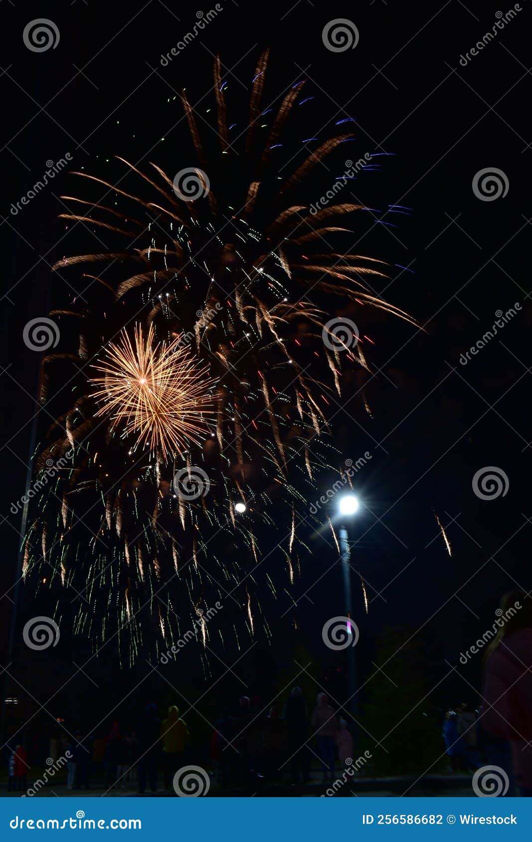 Vertical Shot of Fireworks in the Night Sky Stock Photo - Image of year ...