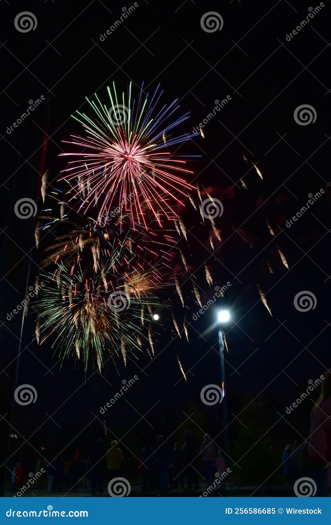 Vertical Shot of Fireworks in the Night Sky Stock Image - Image of ...