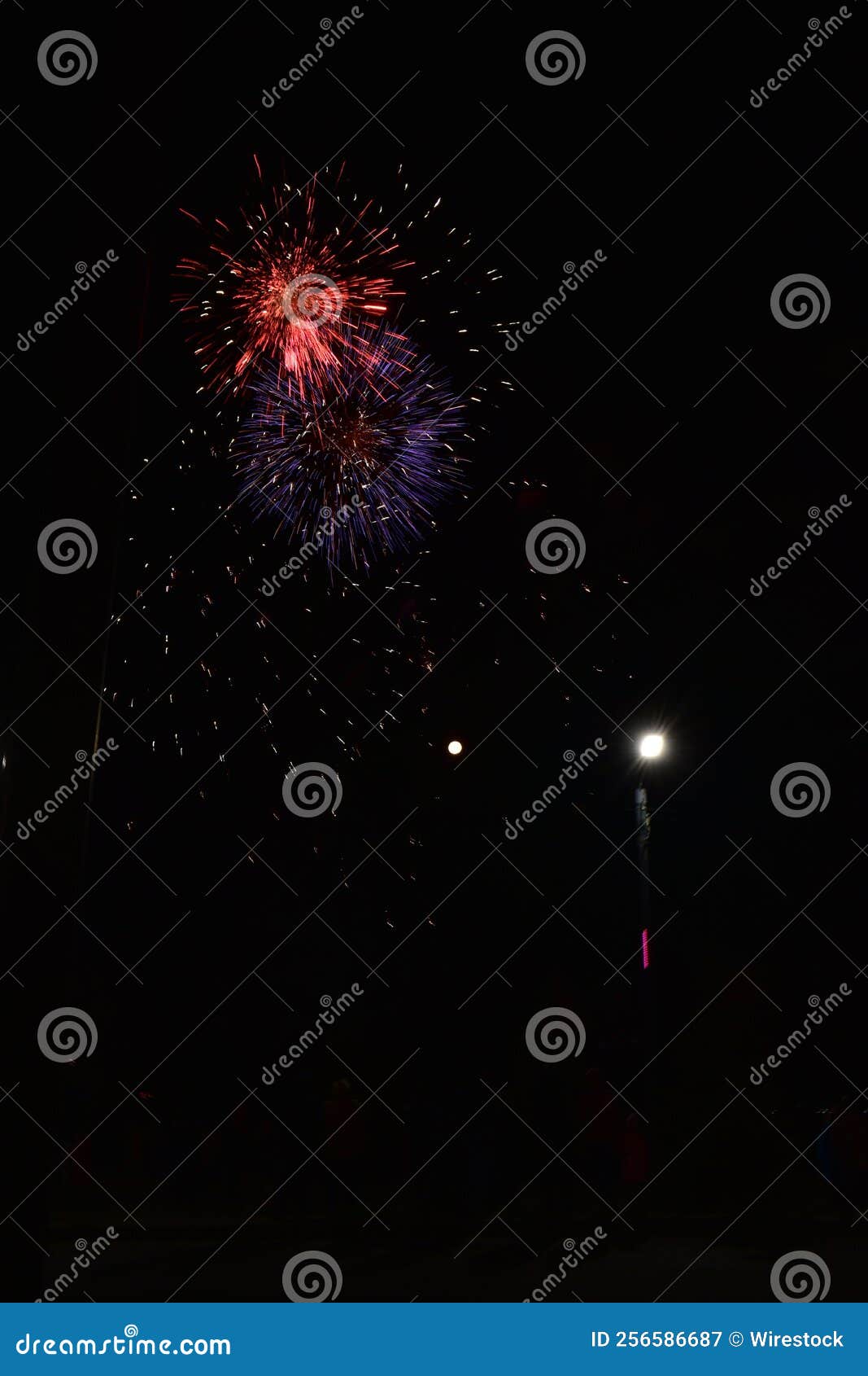 Vertical Shot of Fireworks in the Night Sky Stock Image - Image of ...