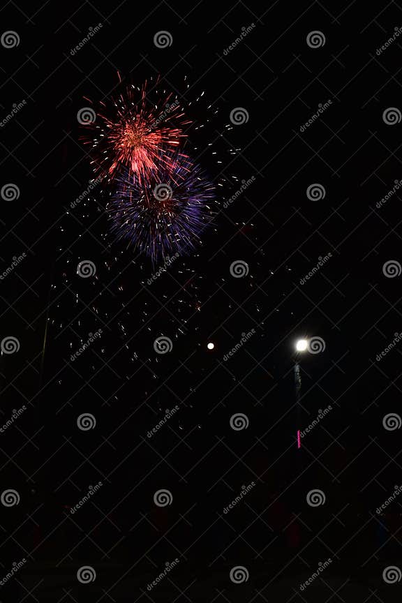 Vertical Shot of Fireworks in the Night Sky Stock Image - Image of ...