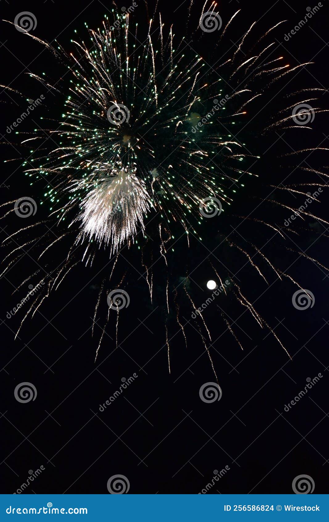 Vertical Shot of Fireworks in the Night Sky Stock Photo - Image of ...