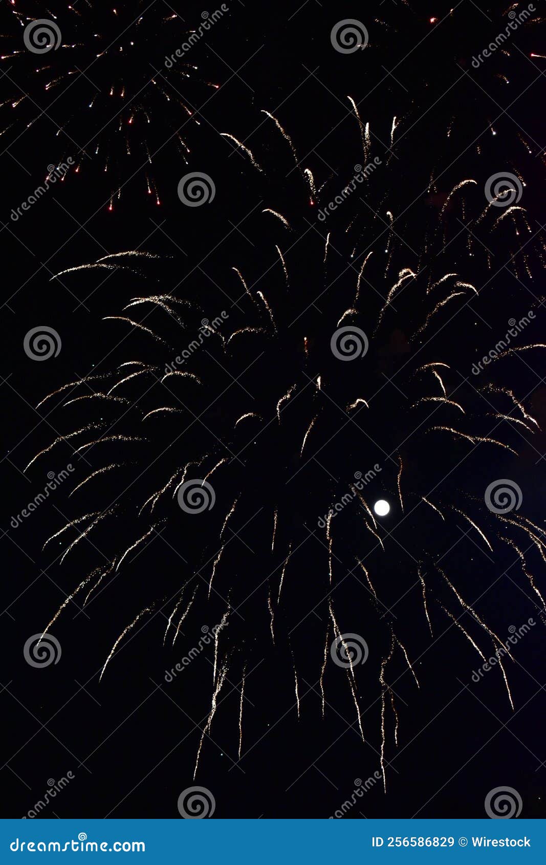 Vertical Shot of Fireworks in the Night Sky Stock Image - Image of ...