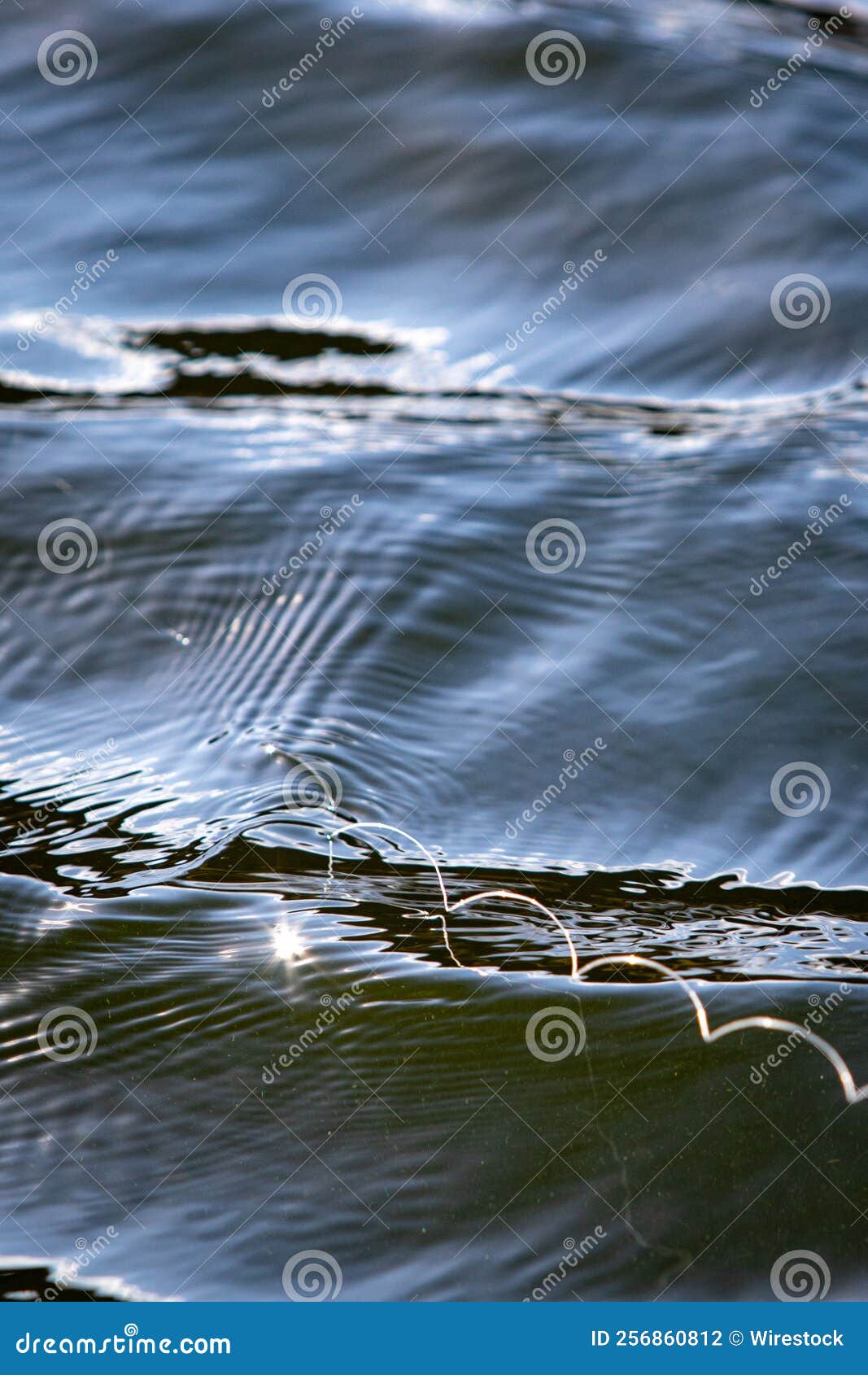 Vertical Shot of a Fishing Line in the Water Stock Photo - Image of ...
