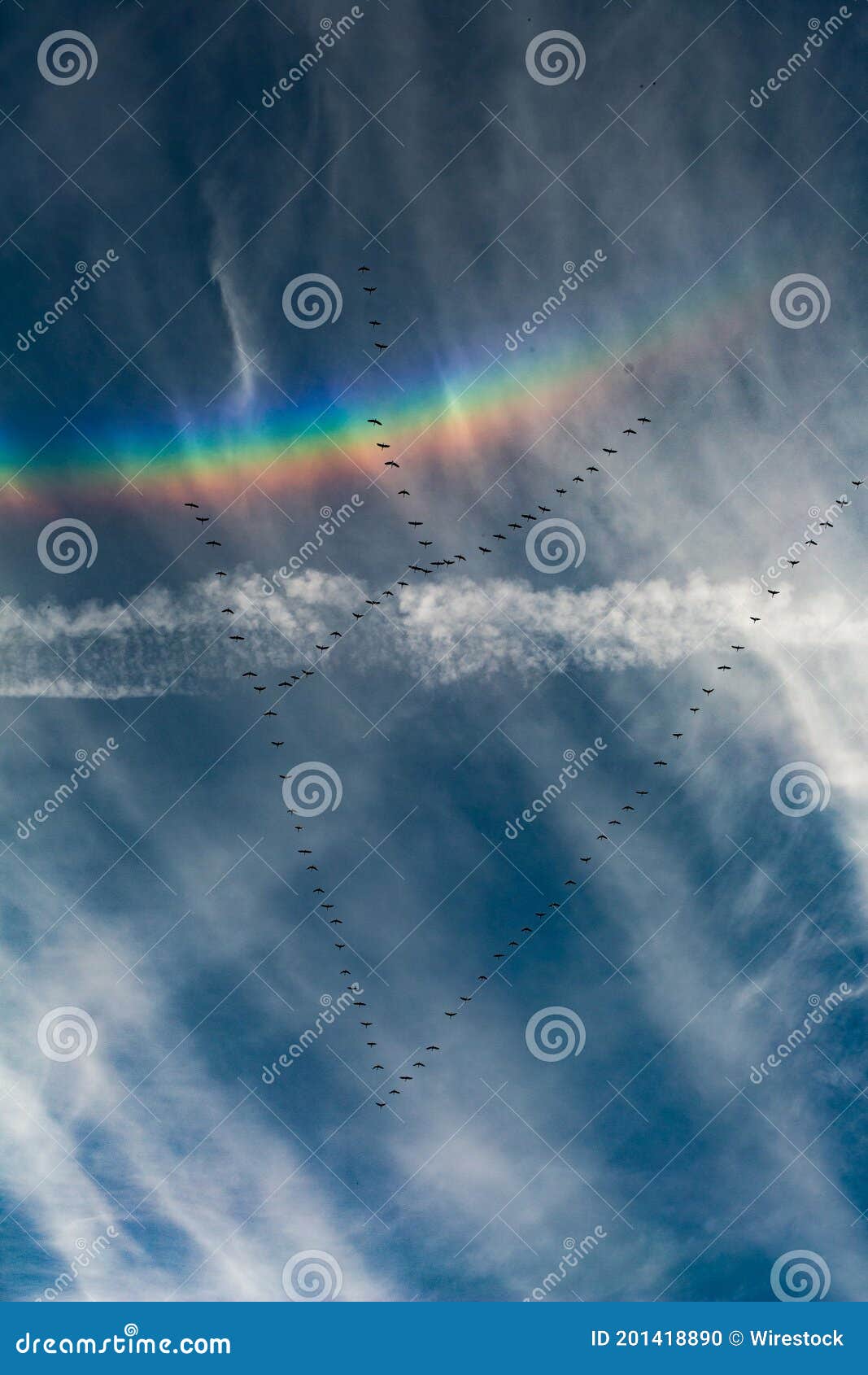 Vertical Shot of a Flock of Birds Flying on the Beautiful Sky Stock ...