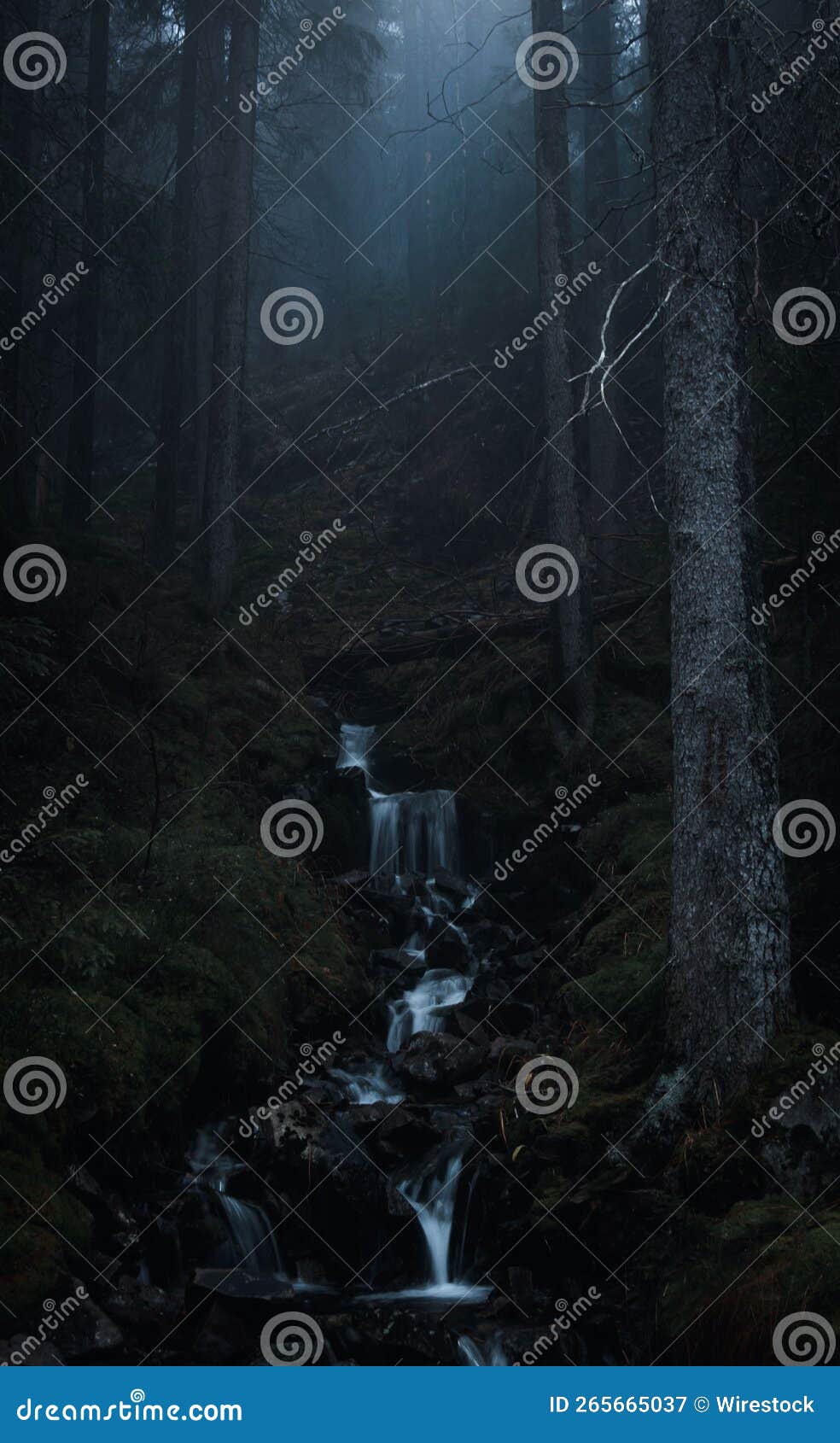 Vertical Shot of a Flowing Cascading Waterfall in a Dark Forest Stock ...