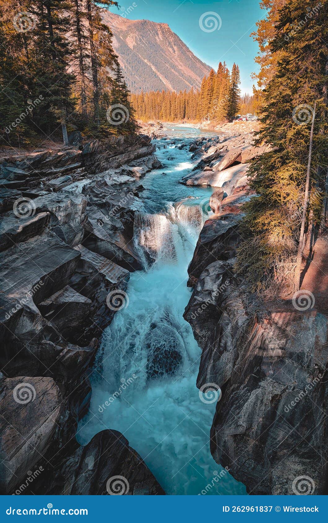 Vertical Shot of a Flowing Splashing Rocky Stream in Banff, Canada ...