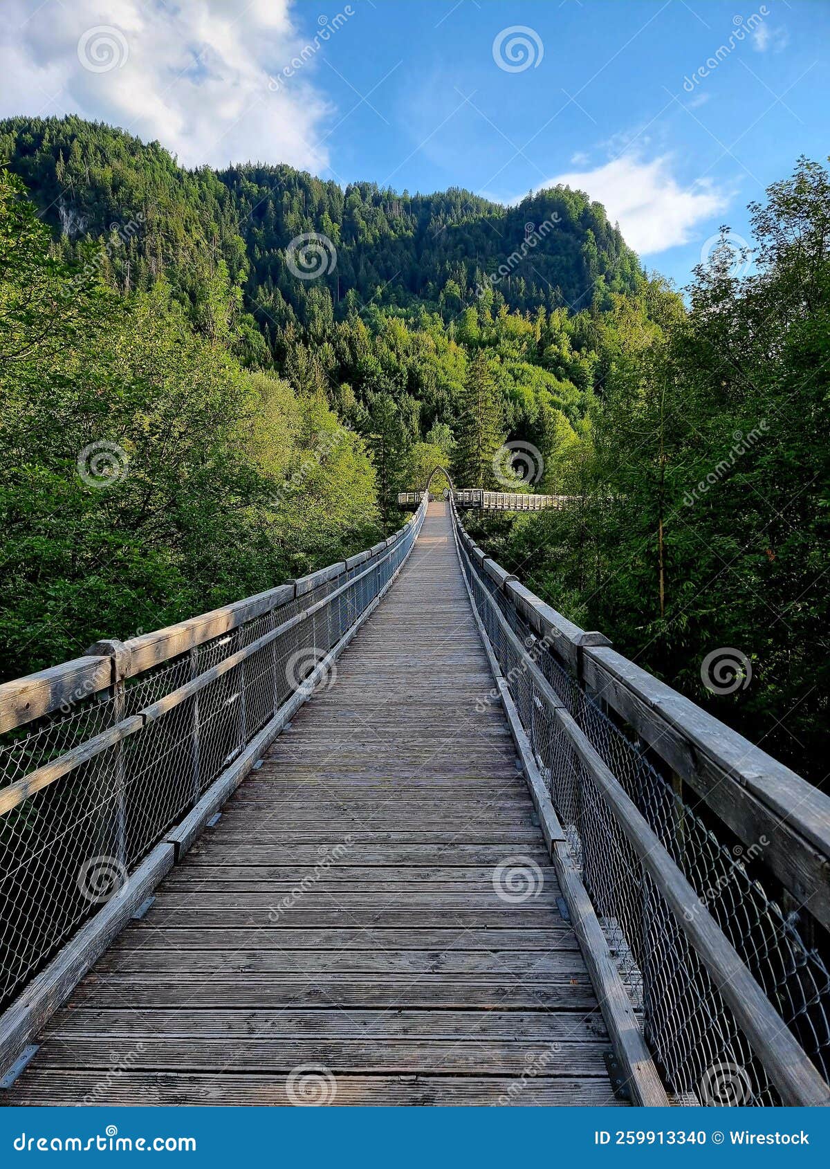 Vertical Shot of the Footpath Bridge in the Forest Stock Photo - Image ...