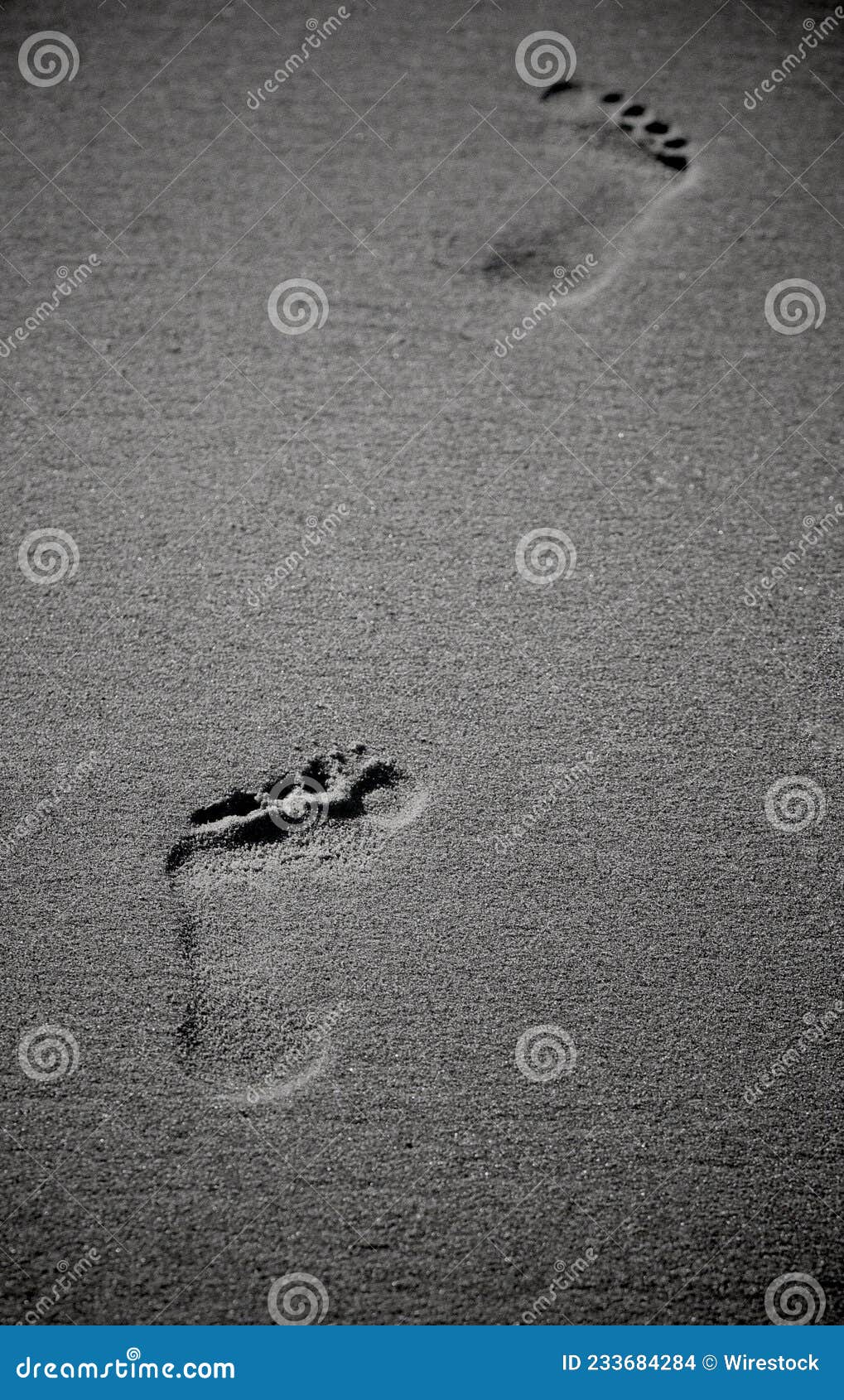 Vertical Shot of Footprints on the Seashore Stock Photo - Image of ...