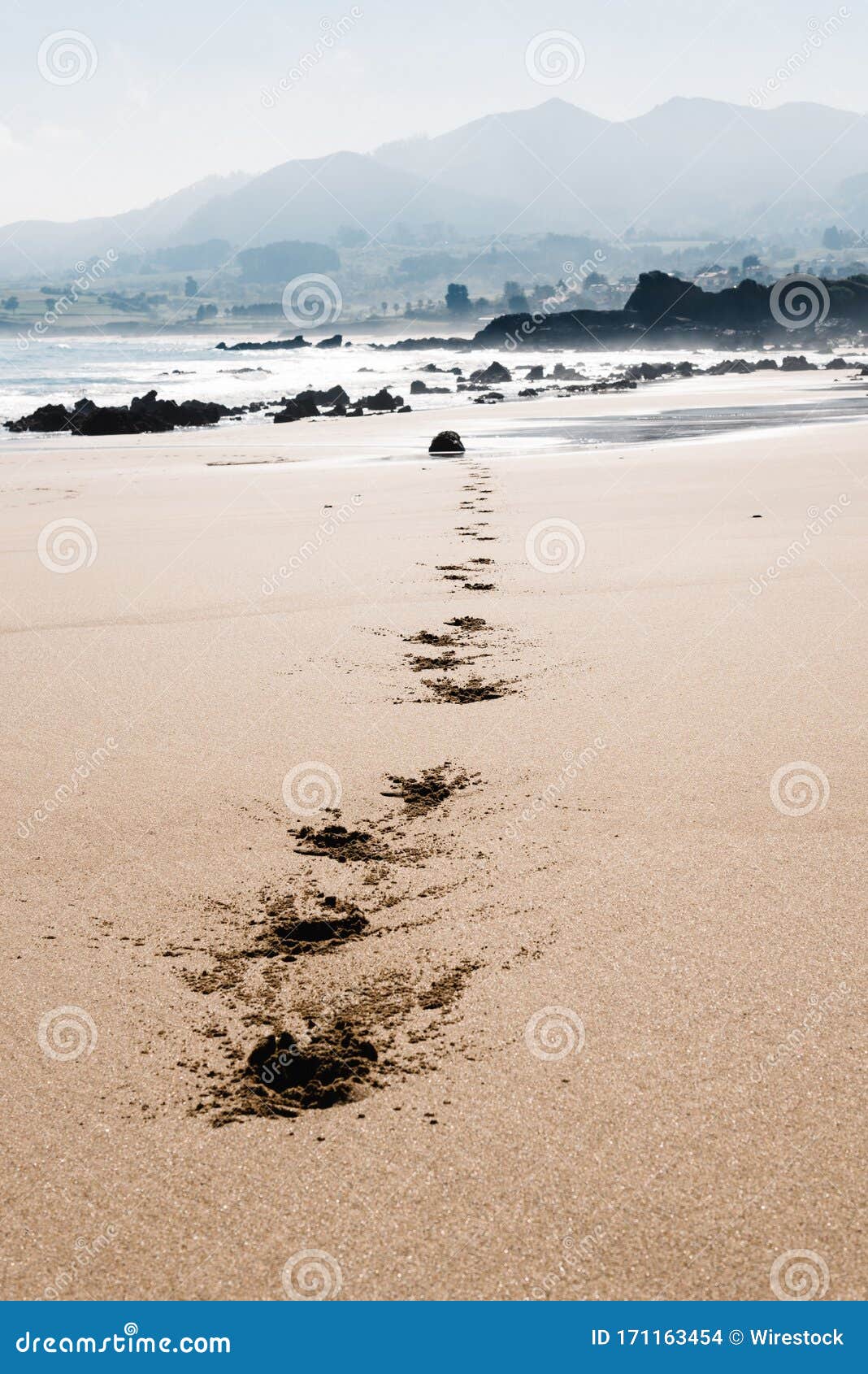 Vertical Shot of the Footsteps on Beach Sand with Mountains and the ...