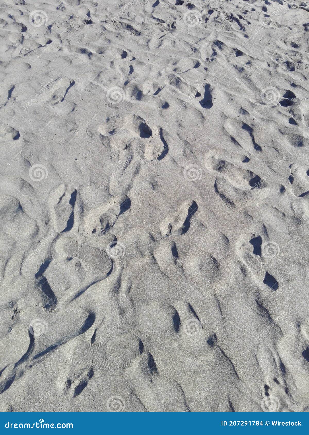 Vertical Shot of Footsteps in the Gray Sand Stock Photo - Image of ...