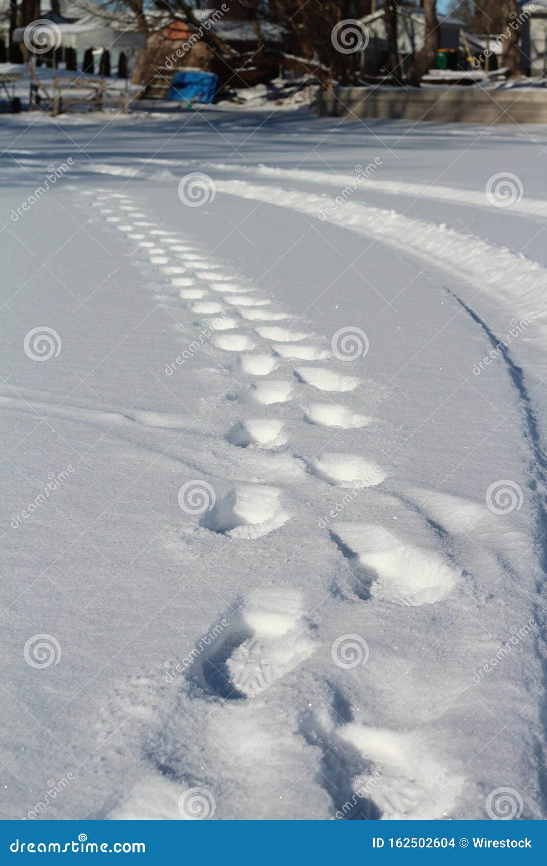 Vertical Shot of Footsteps in the Snow Taken in Minnesota Stock Photo ...