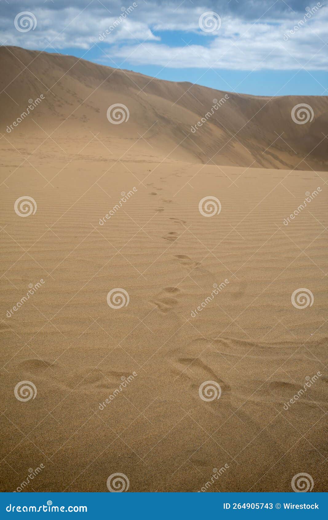 Vertical Shot of Footsteps is Visible on the Surface of the Desert Sand ...