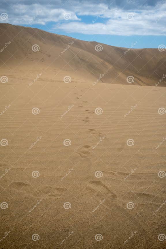 Vertical Shot of Footsteps is Visible on the Surface of the Desert Sand ...