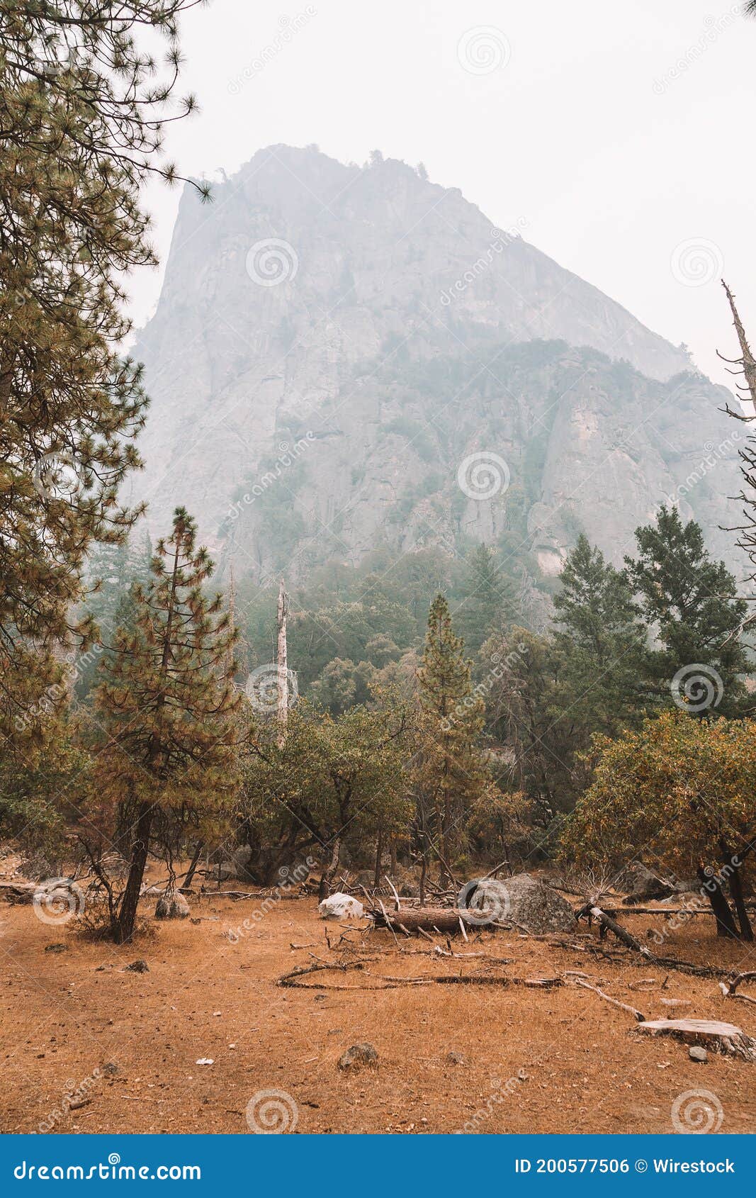 164,470 Forest Cliff Photos - Free & Royalty-Free Stock Photos from ...