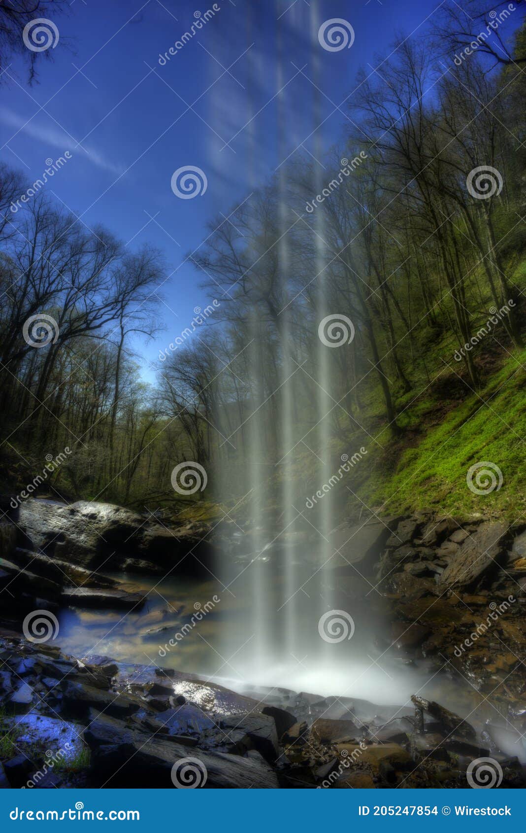 Vertical Shot of a Forest Scene with a Tortuous River Flowing among ... Vertical Shot of a Forest Scene with a Tortuous River Flowing among ...