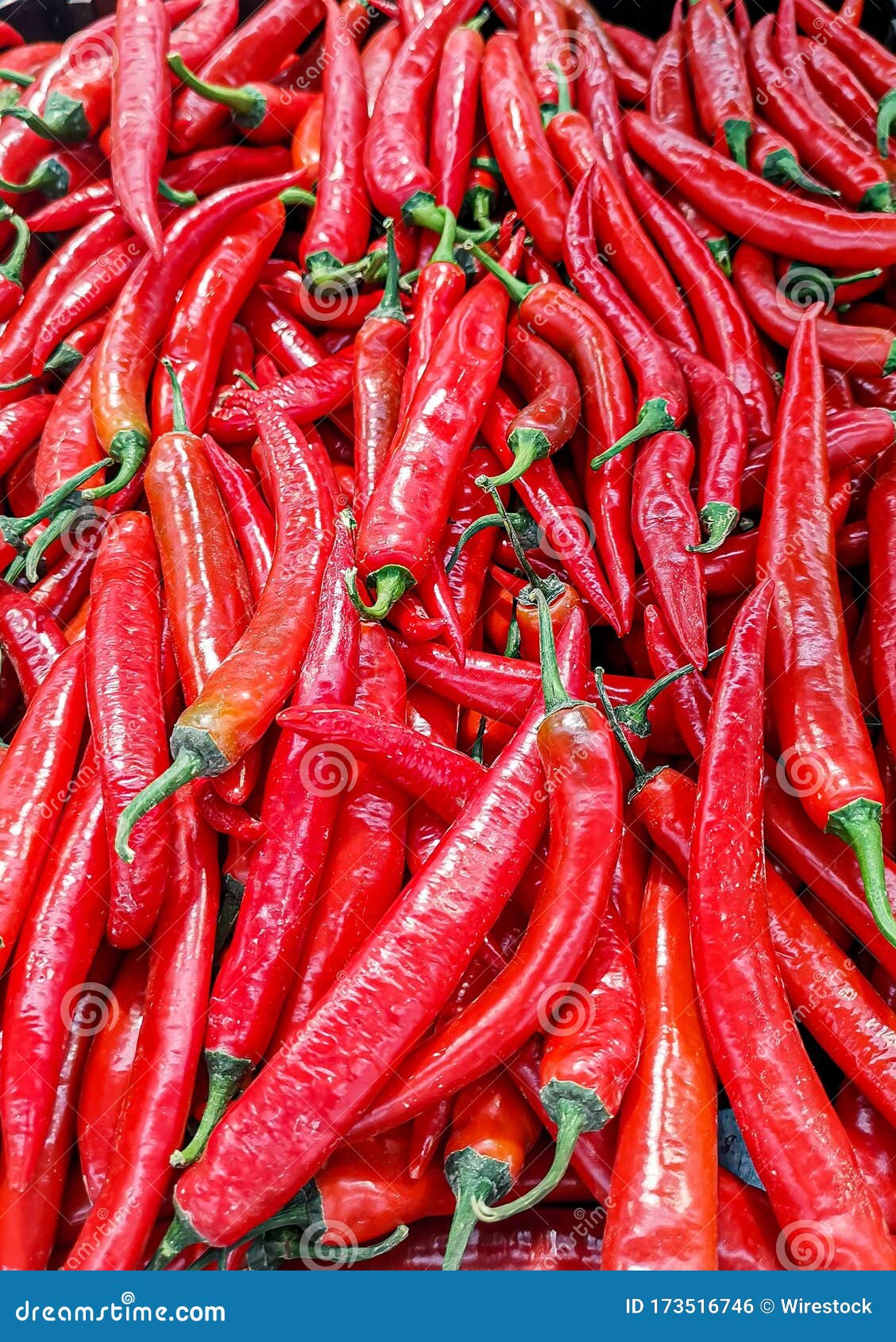 Vertical Shot of Fresh Red Chilies in the Market Stock Photo - Image of ...