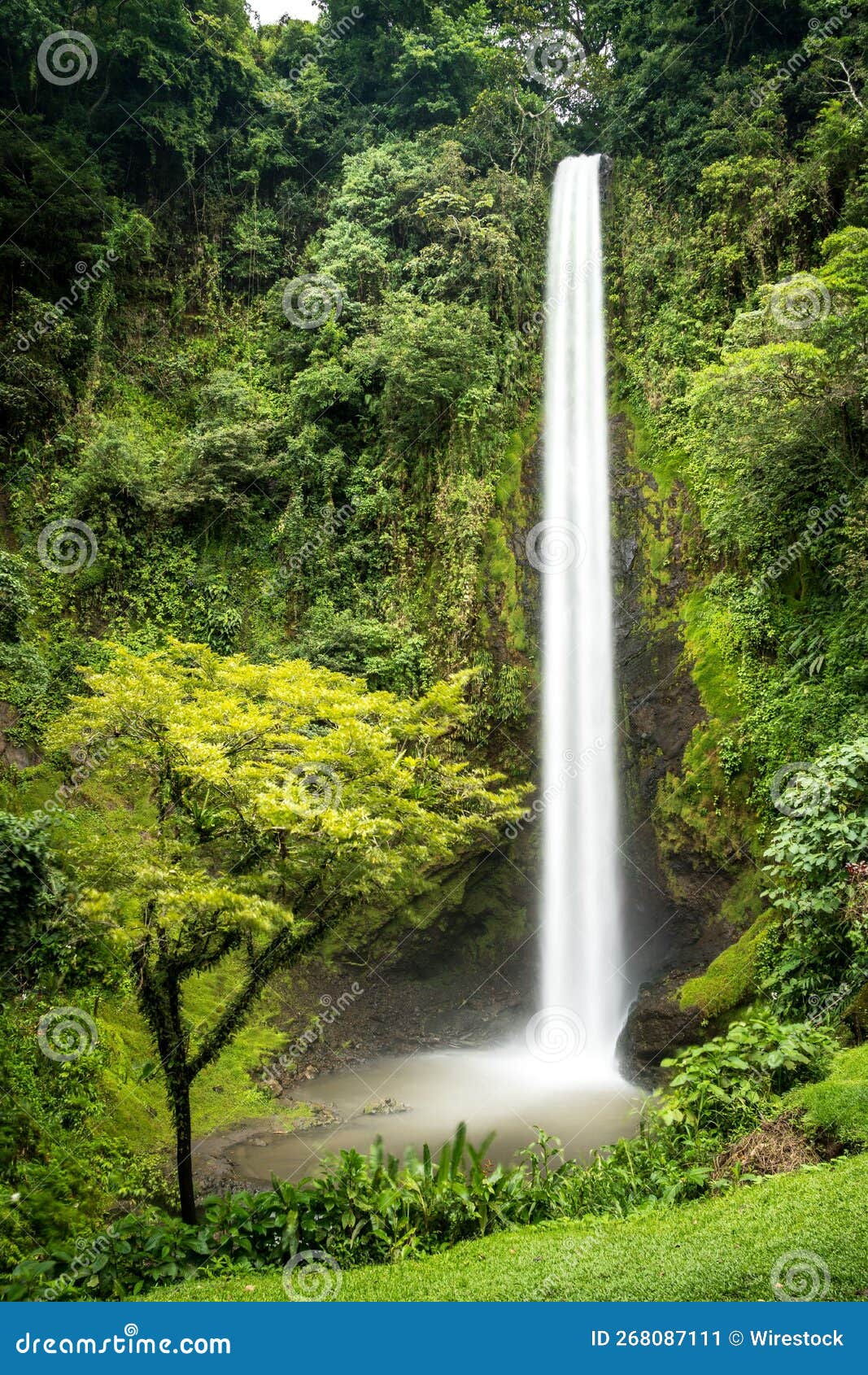 Vertical Shot of the Fuipisia Waterfall in a Forest in Samoa Stock ...