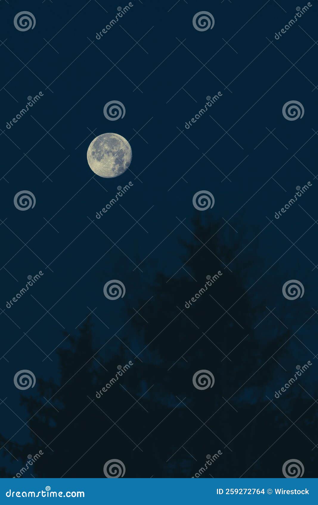Vertical Shot of the Full Moon Above the Forest Stock Photo - Image of ...