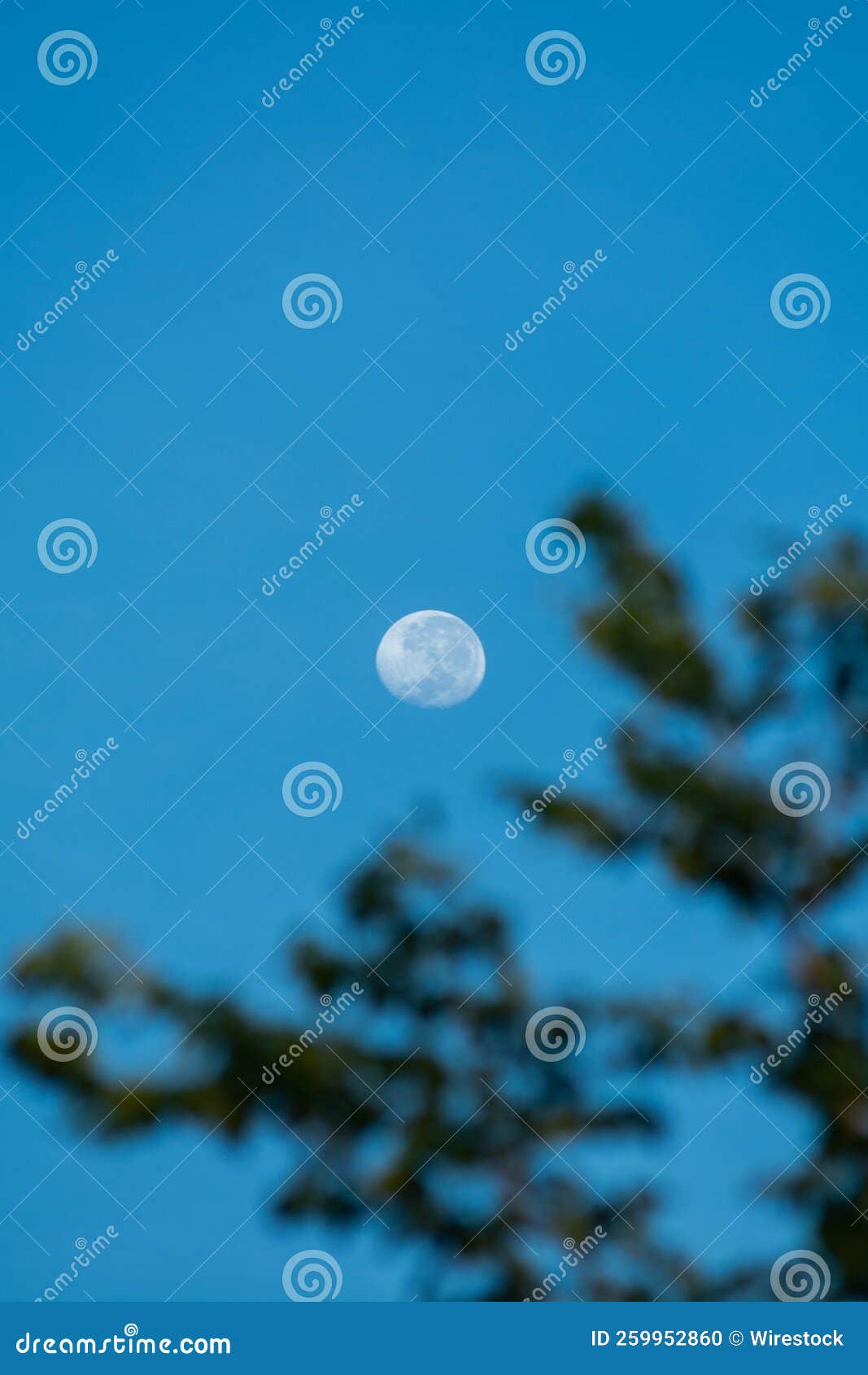 Vertical Shot of Full Moon in the Blue Sky Stock Photo - Image of ...