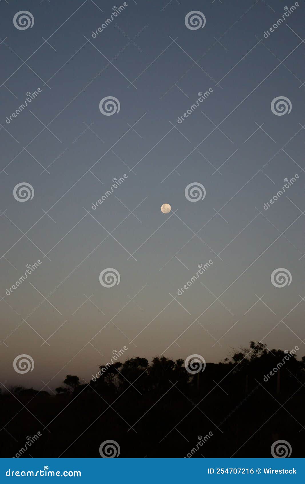 Vertical Shot of the Full Moon in the Evening. Stock Photo - Image of ...
