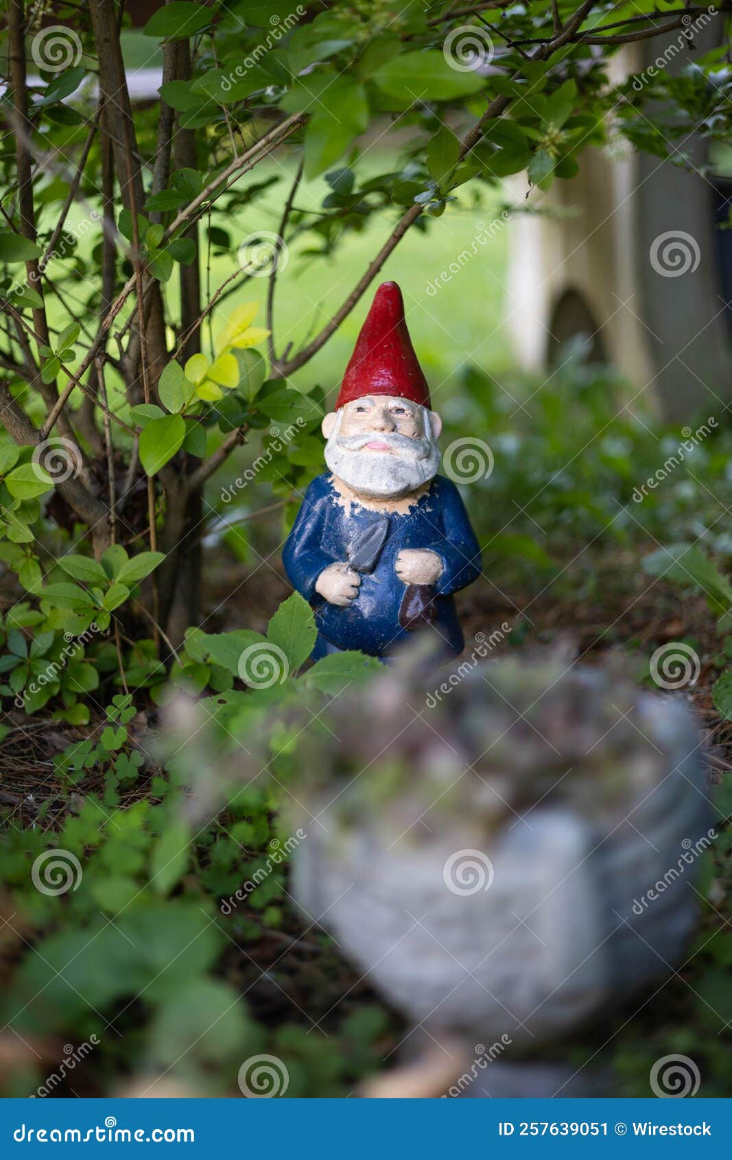 Vertical Shot of a Garden Gnome among Green Leaves Stock Image - Image ...
