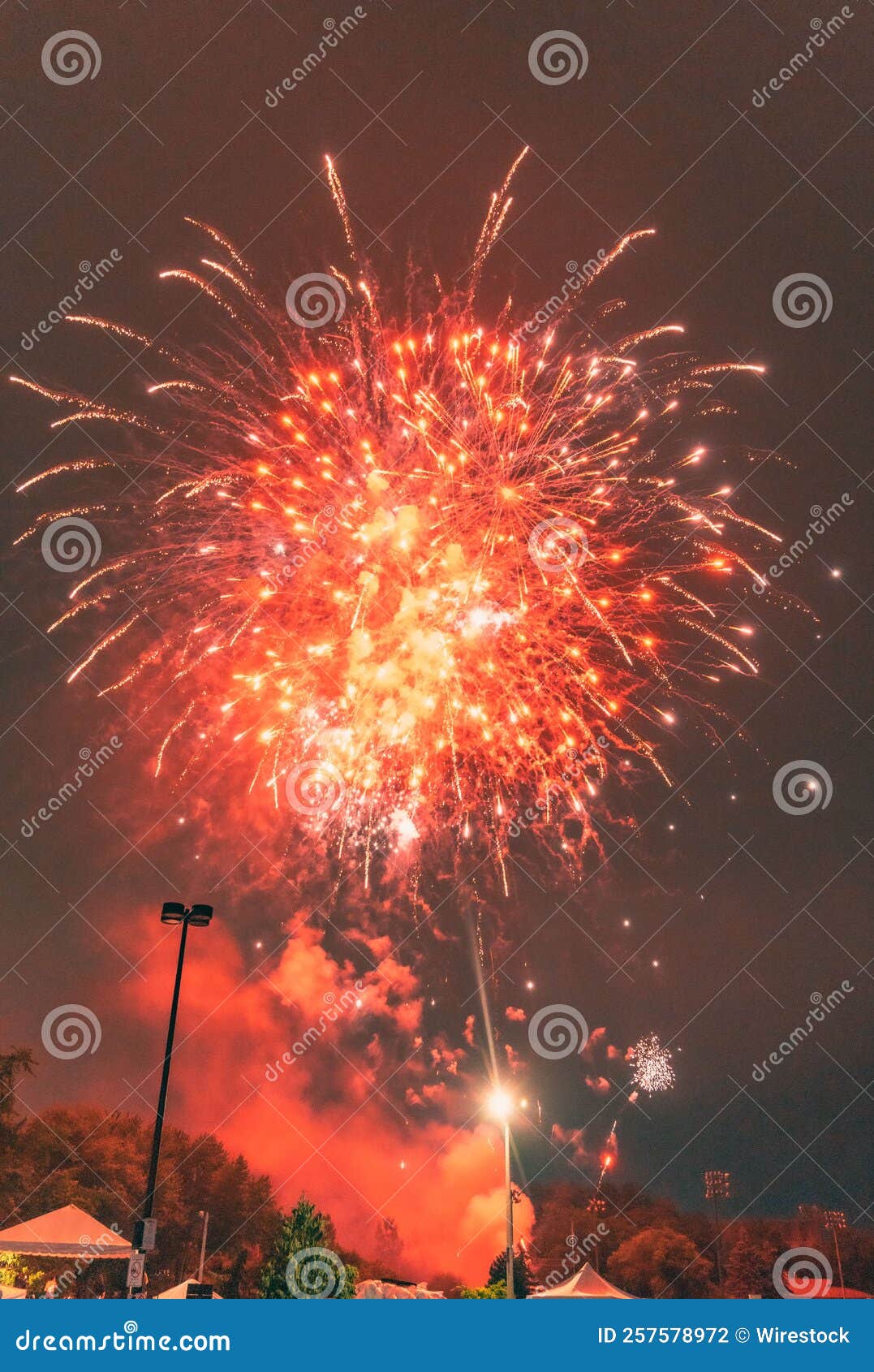 Vertical Shot of a Glowing Firework in the Sky at Night Stock Photo ...