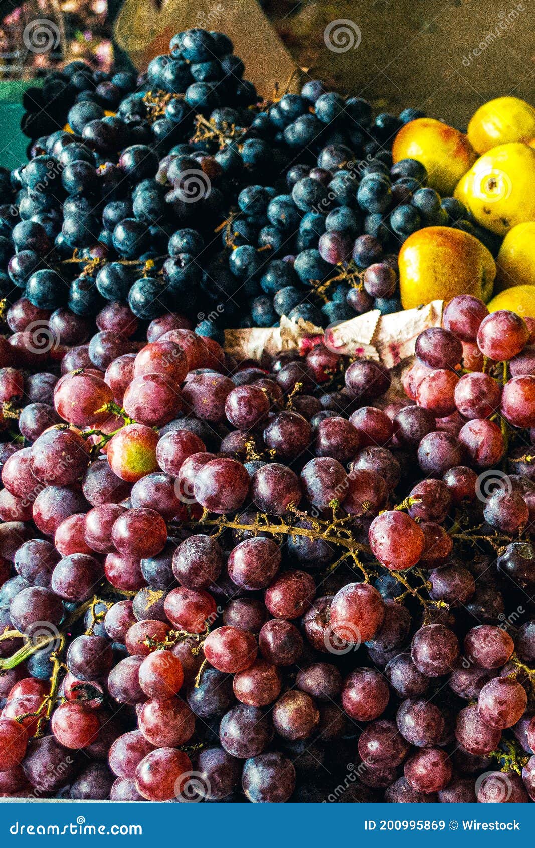 Vertical shot of grapes stock image. Image of healthy - 200995869