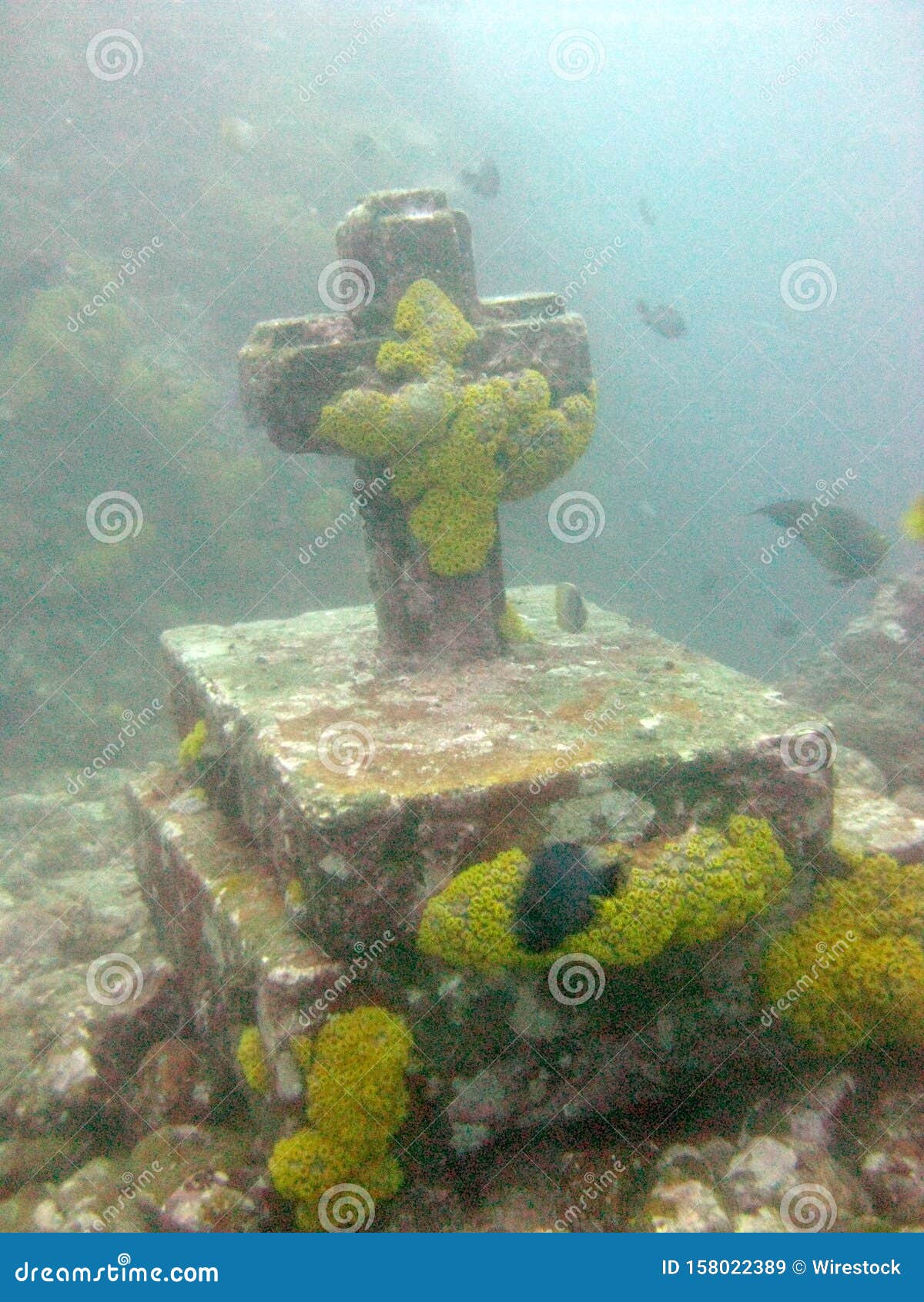 Vertical Shot of a Gravestone Underwater Stock Image - Image of cross ...