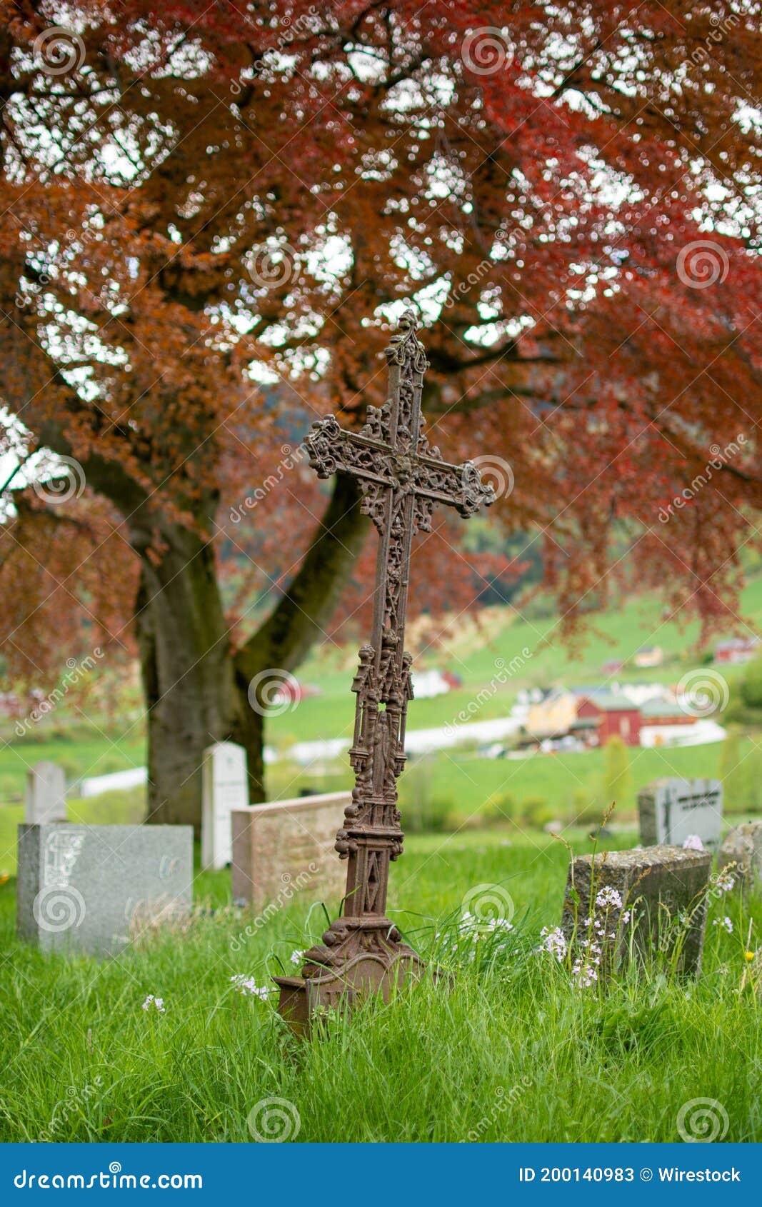 Vertical Shot of a Graveyard Surrounded by Greenery at Daytime Stock ...
