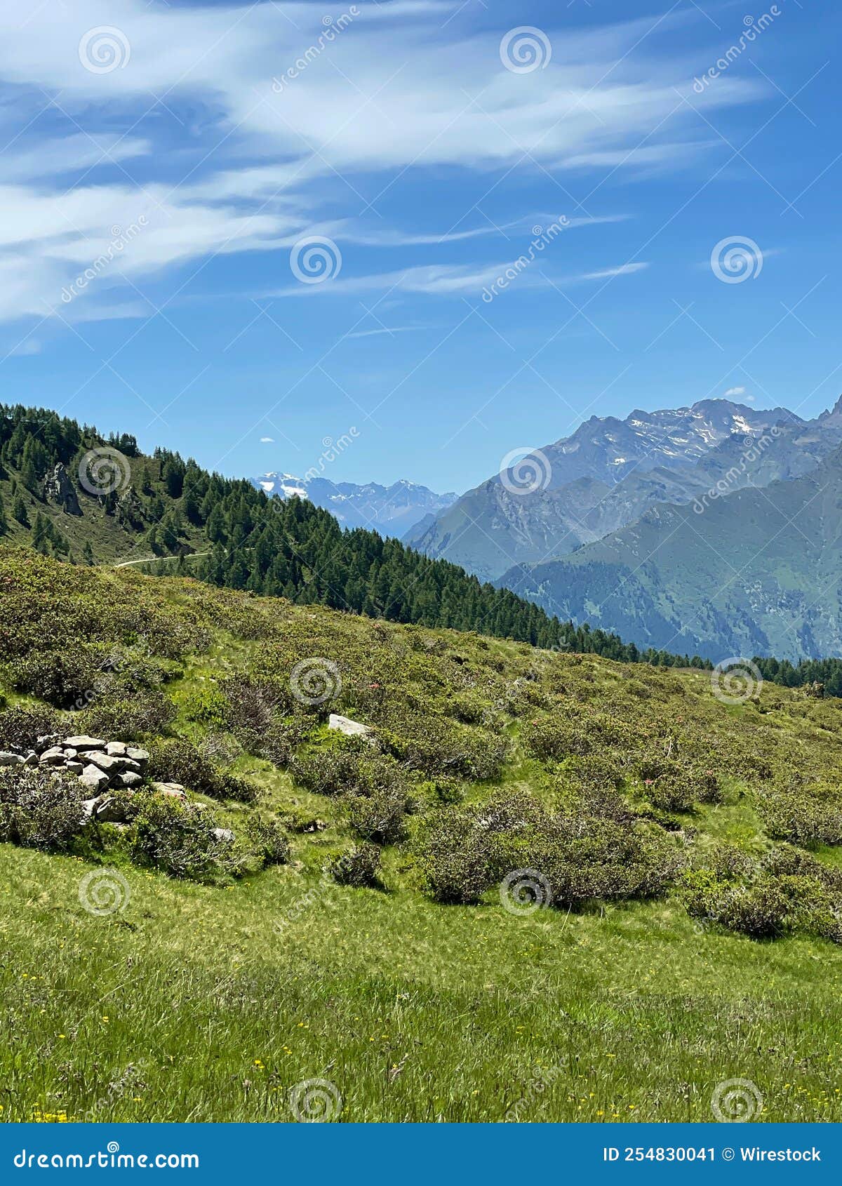 Vertical Shot of Green Forests on a Slope of a Mountain Range Stock ...