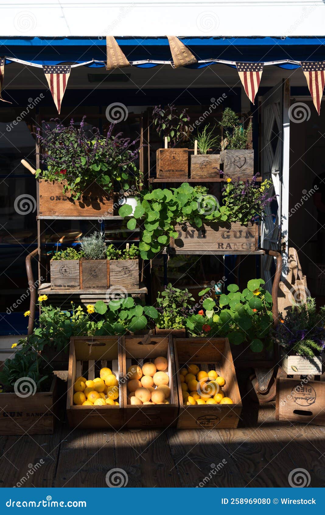Vertical Shot of a Grocery Storefront Stock Photo - Image of street ...