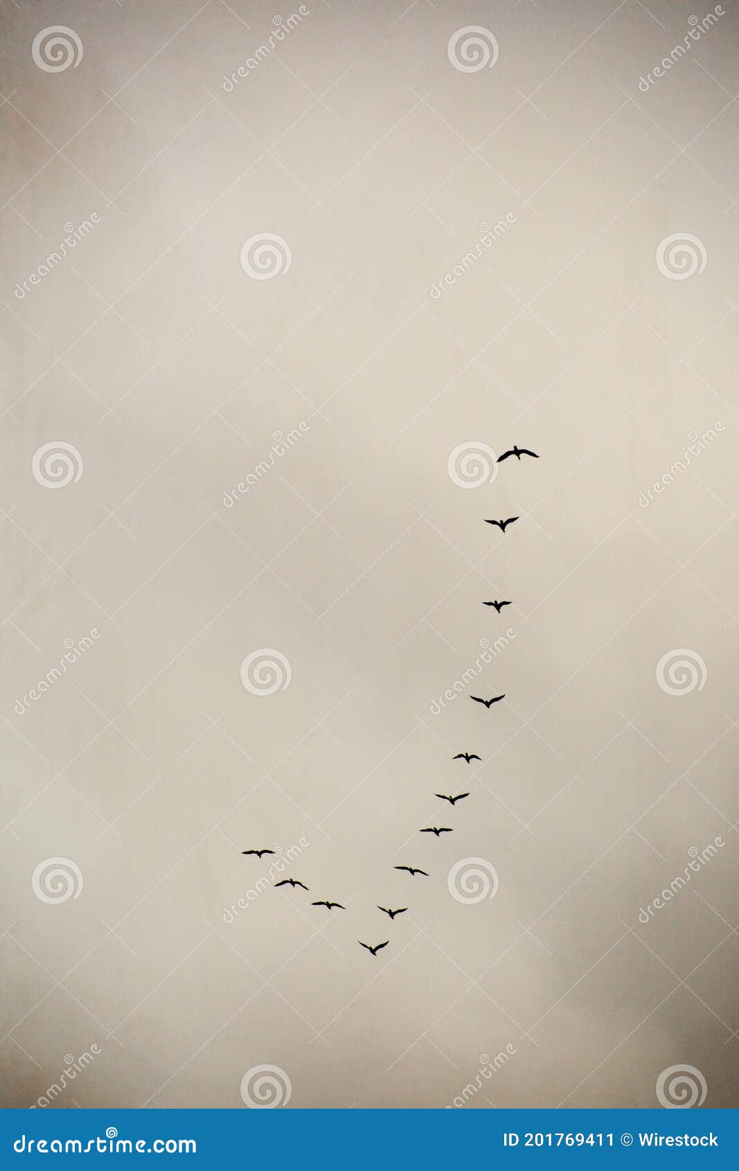 Flying Triangle Flock Of Migratory Birds Stock Image | CartoonDealer ...
