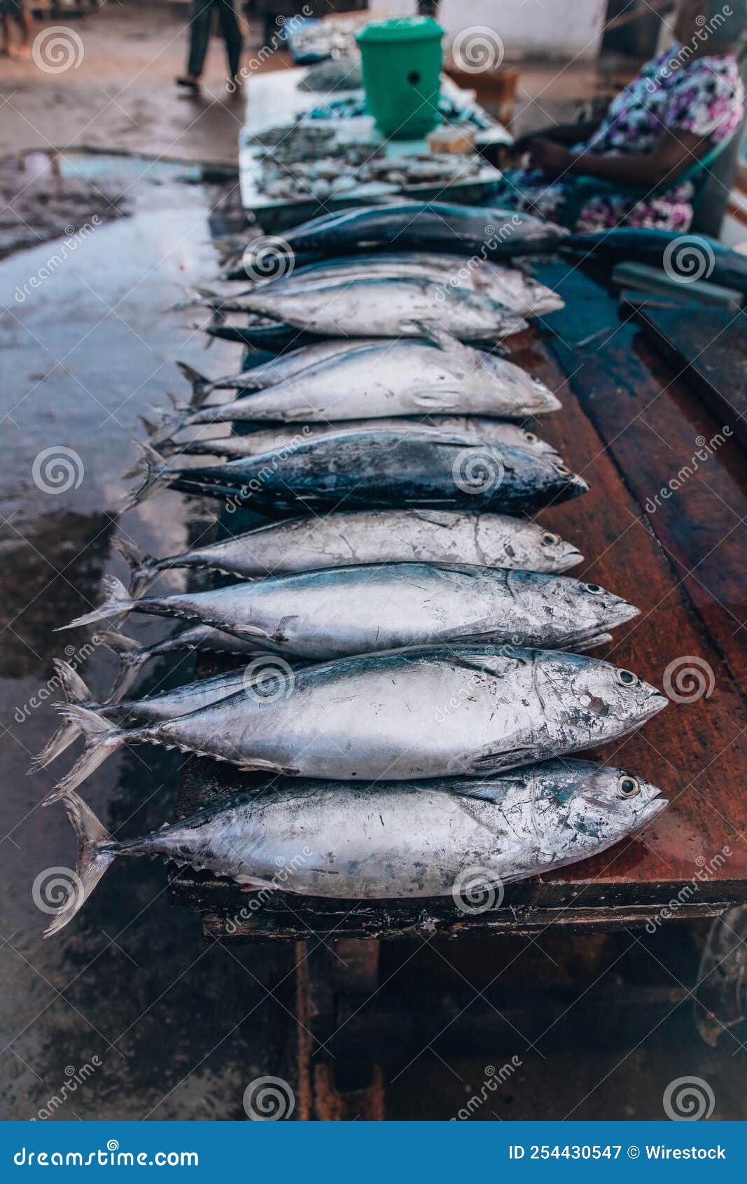 Vertical Shot of the Group of Fish Lined Side by Side in the Fish ...