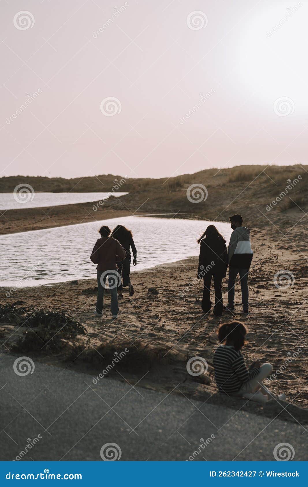 Vertical Shot of a Group of People Walking at the Beach Stock Image ...