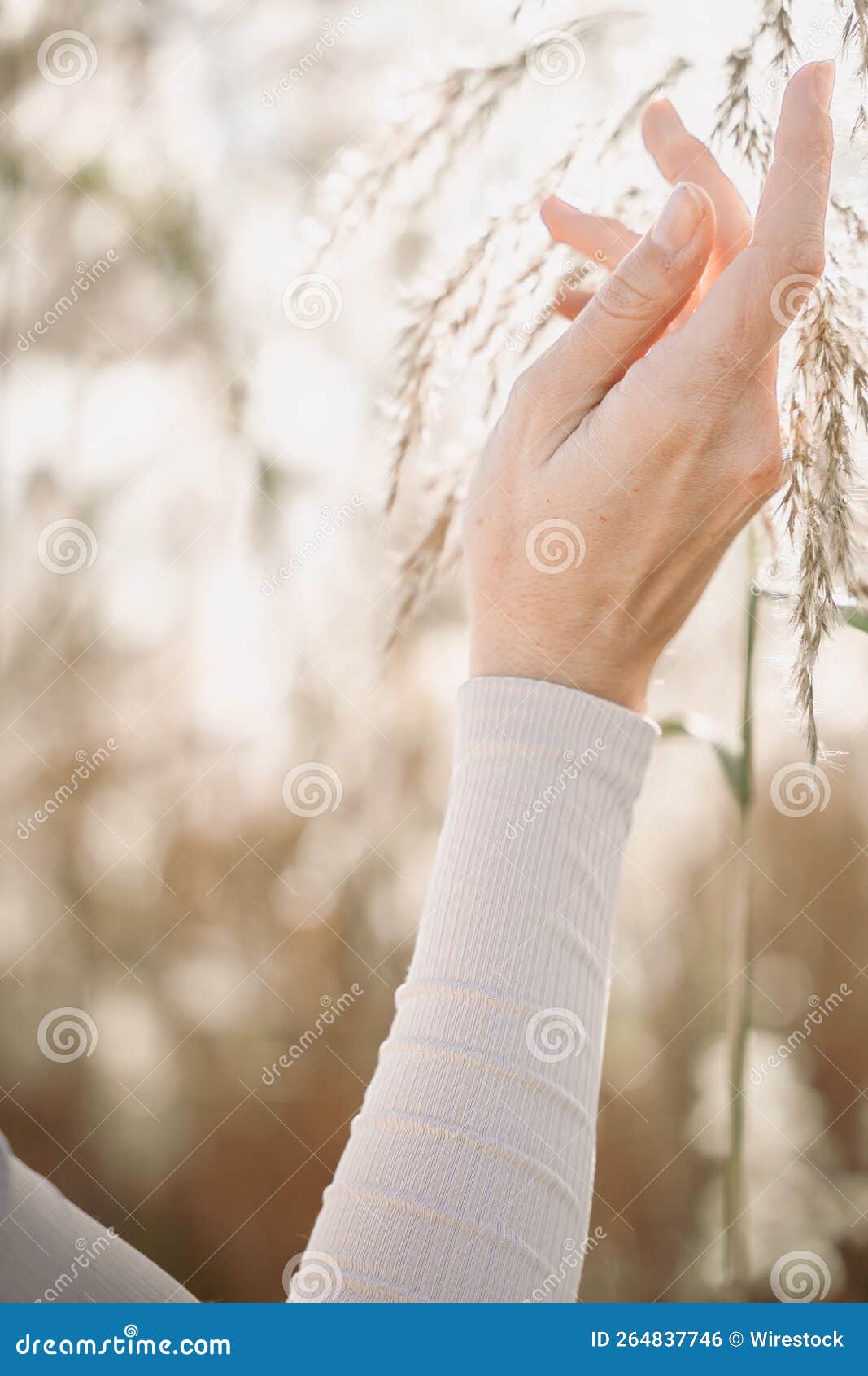 Vertical Shot of a Hand Gently Touching a Tree Branch and Enjoying the ...