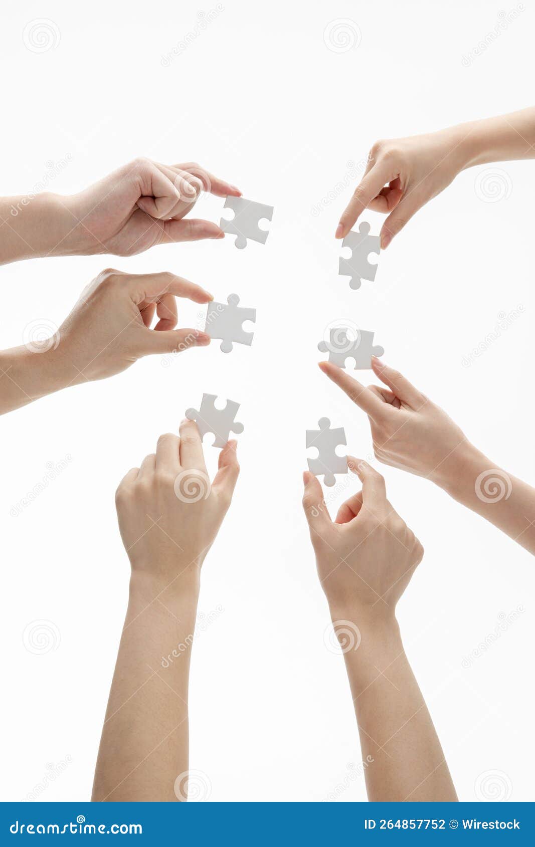 Vertical Shot of Hands Holding Puzzle Pieces in Front of a White ...