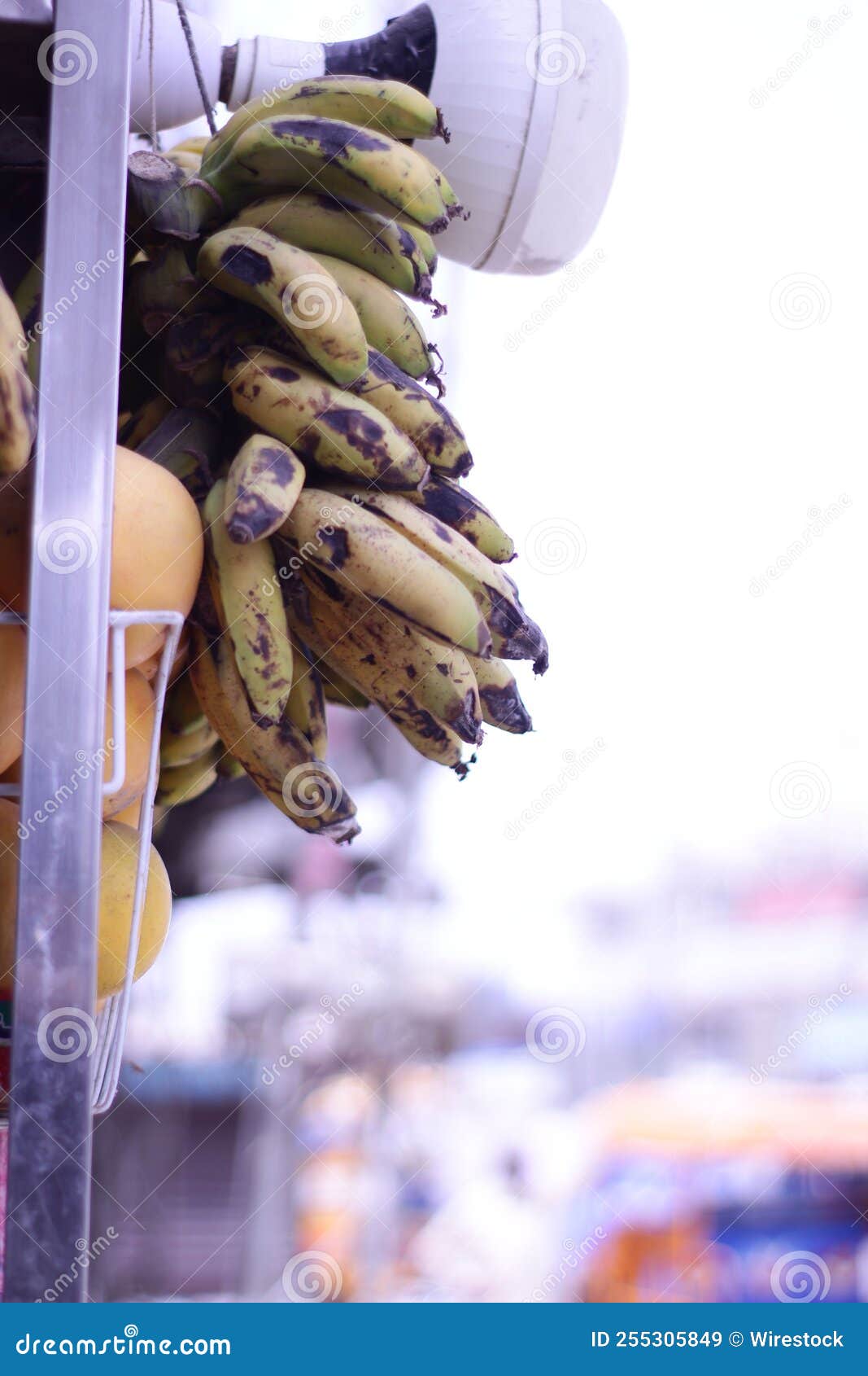 Vertical Shot of Hanging Bananas. Stock Image - Image of nutrition ...