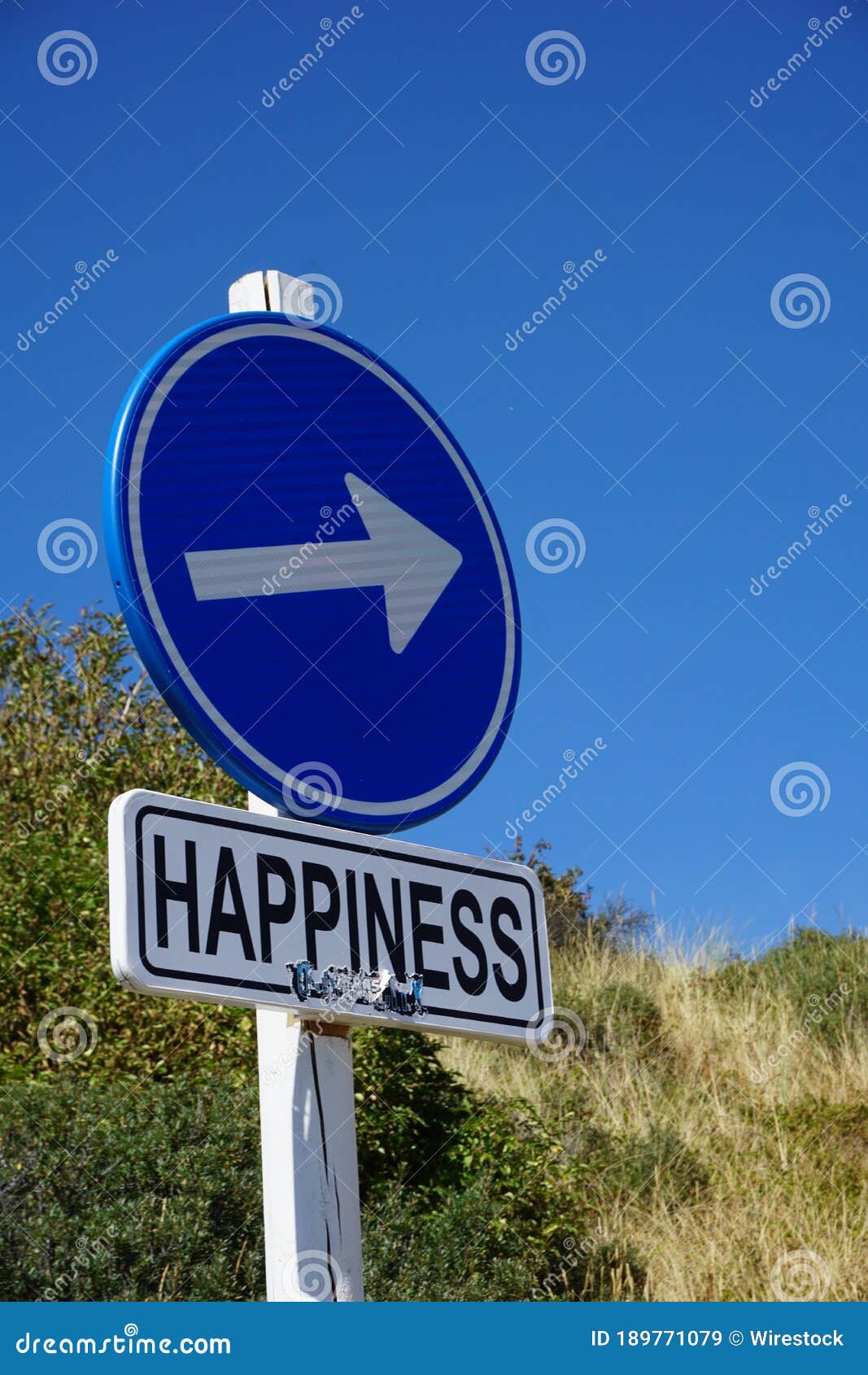 Vertical Shot of Happiness Sign with Right Arrow in the Nature Stock ...